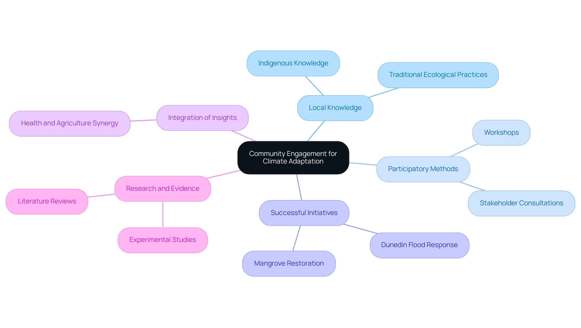 Branches represent key themes: Local Knowledge, Participatory Methods, Successful Initiatives, with color codes differentiating between them.