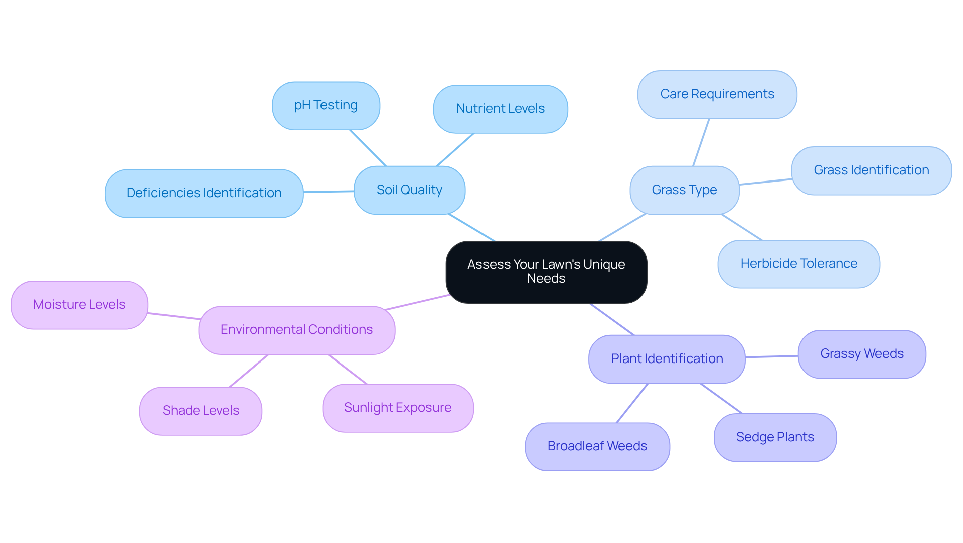 Start at the center with the main topic, then follow the branches to explore each key area that affects your lawn care decisions. Each branch represents a crucial factor to consider when choosing a weed service. Start at the center with the main topic, then follow the branches to explore each key area that affects your lawn care decisions. Each branch represents a crucial factor to consider when choosing a weed service.