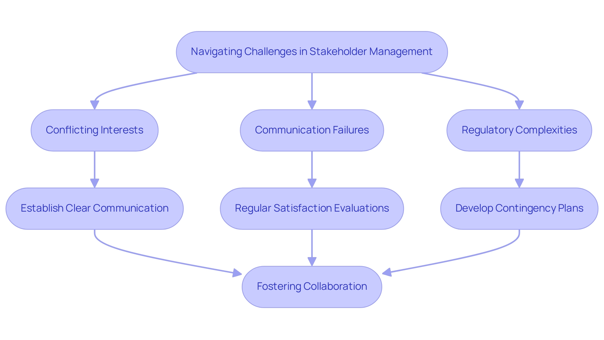 Each box represents a challenge or strategy in stakeholder management; arrows indicate the flow from challenges to strategies.