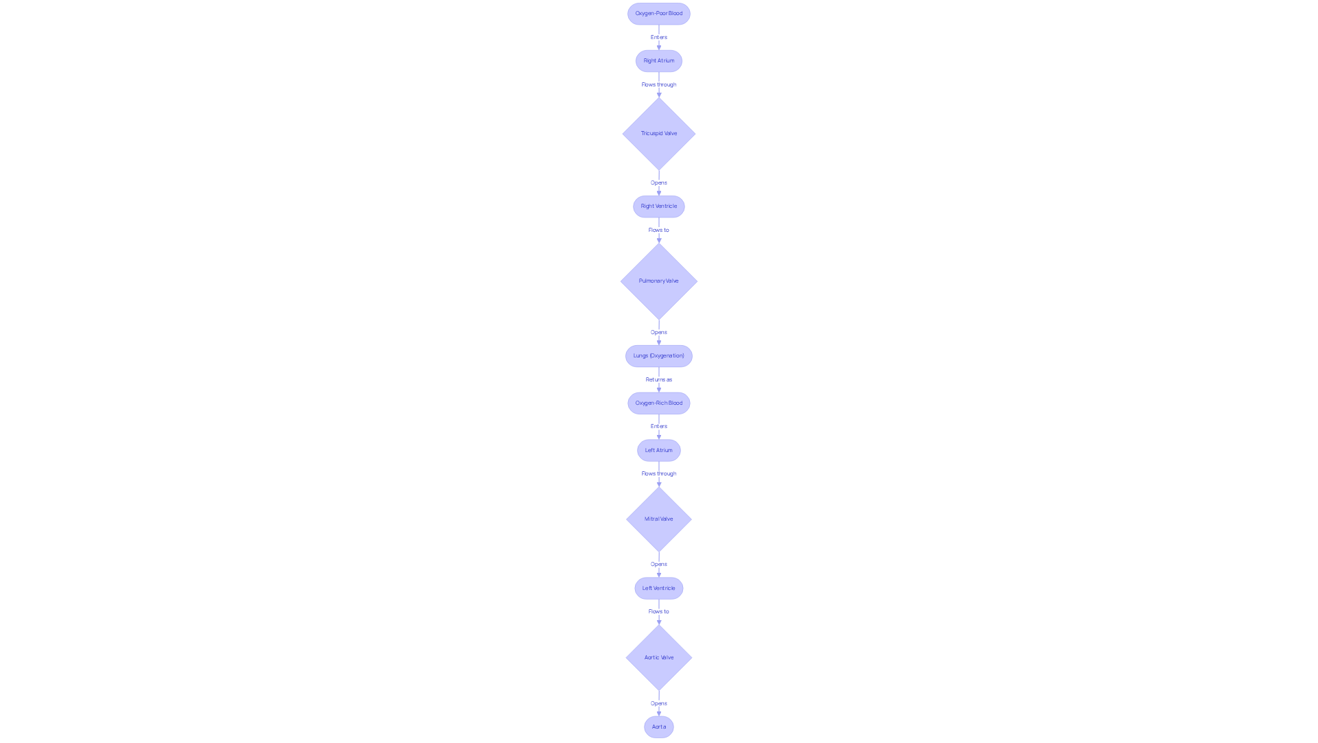 This flowchart illustrates how blood moves through the heart valves. Follow the arrows to see how oxygen-poor blood enters the heart, gets pumped to the lungs, and then returns as oxygen-rich blood to be distributed throughout the body.