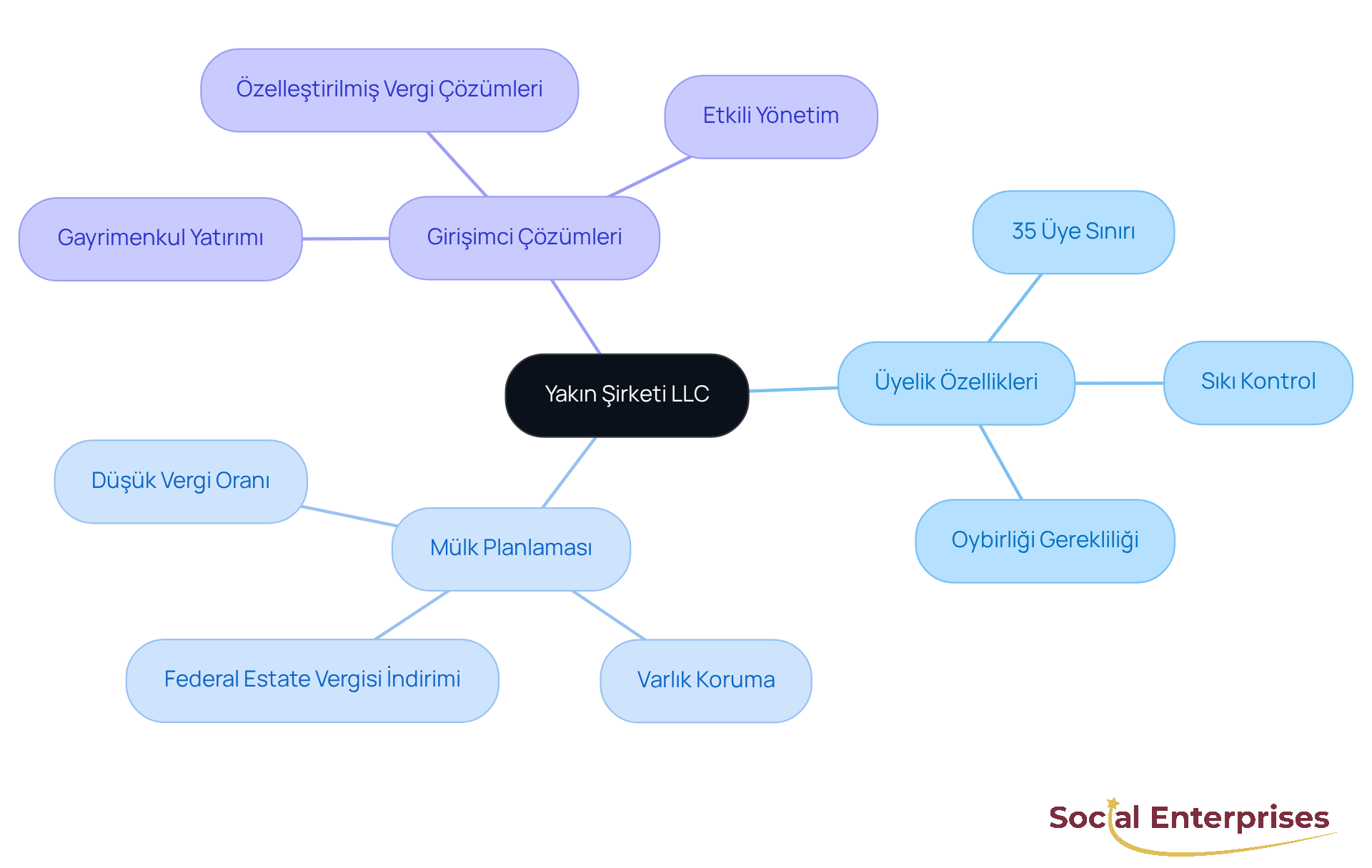 Merkezdeki başlık, LLC yapısının ana konusunu temsil eder. Dallar, bu yapının farklı yönlerini ve özelliklerini gösterir. Her dalın altındaki maddeler, o dalın detaylarını sunar.