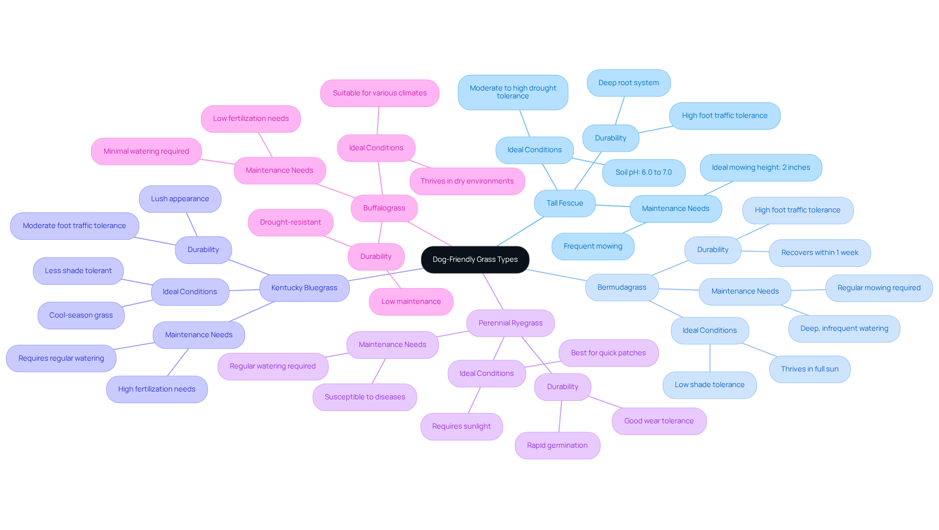 The central node represents the main topic, while each branch shows a different grass type. Sub-branches provide details about each type's characteristics, helping you choose the best option for your yard.
