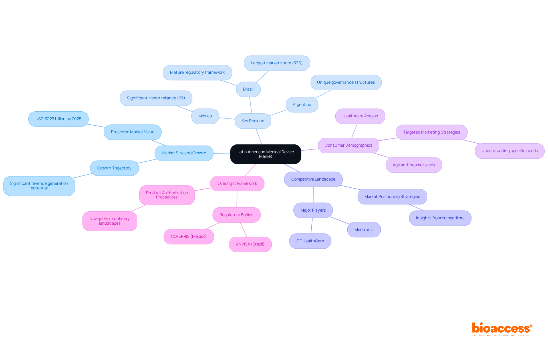 The central node represents the overall market, while each branch highlights a critical factor to consider. Sub-branches provide additional insights or questions that companies should explore to tailor their market entry strategies.