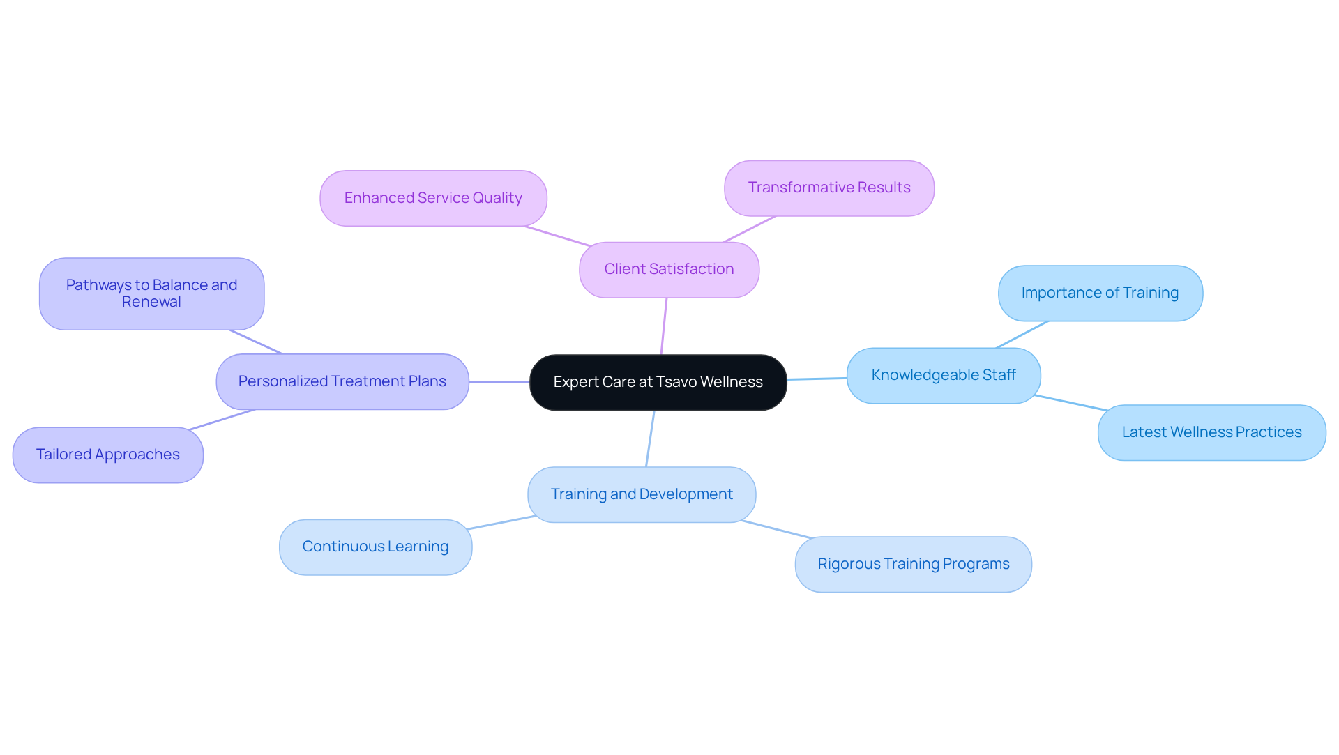 The center represents the overall concept of expert care, while the branches illustrate the crucial components like staff training, personalized approaches, and their effects on client satisfaction.