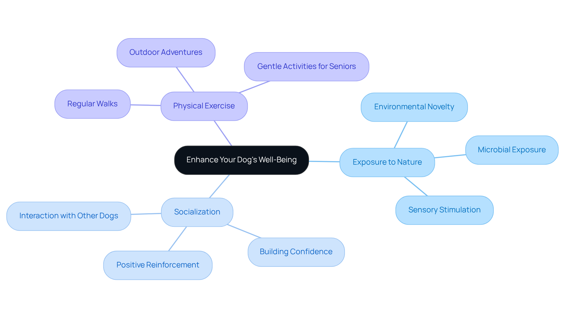The center shows the main goal of improving your dog's well-being, while the branches highlight key benefits. Each color represents a different aspect of outdoor fun that contributes to a happier, healthier dog.