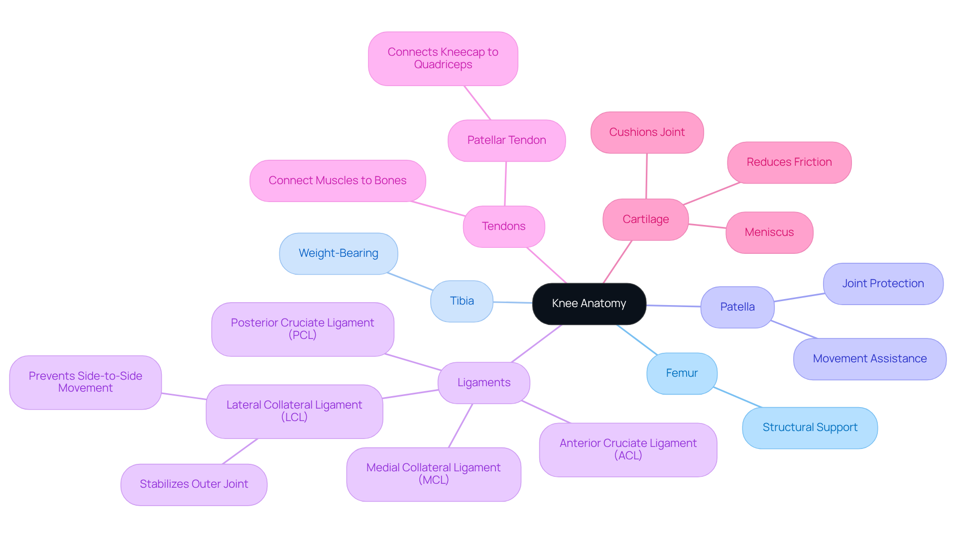 This mindmap illustrates the anatomy of the knee and highlights how each part contributes to its function. The central node represents the knee, while the branches show the main components and their roles. Follow the branches to see how injuries or conditions can affect these structures and lead to pain.