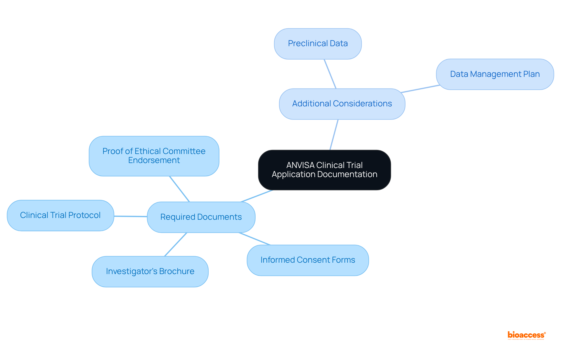 The center represents the main application process. Each branch leads to specific documents and key elements you need to consider for a smooth authorization.