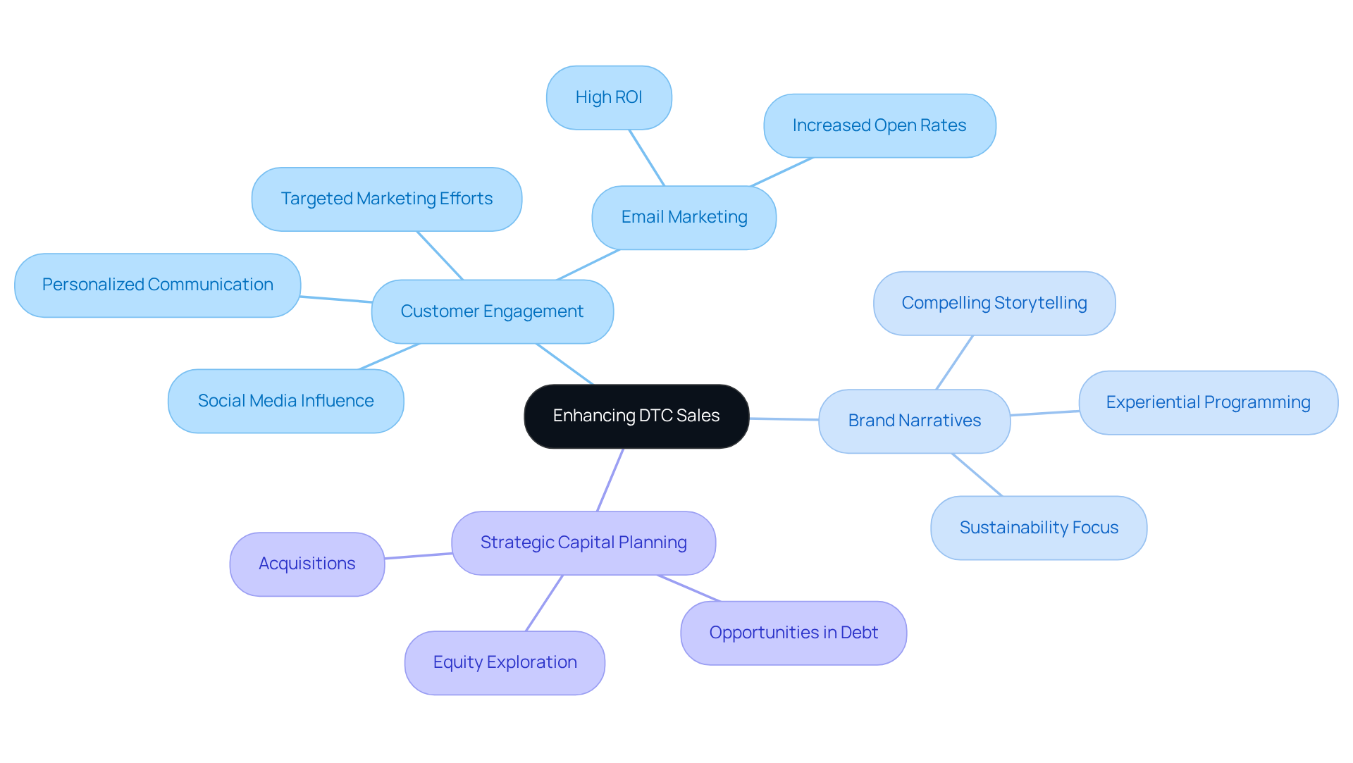 The center represents the main goal of enhancing DTC sales, and the branches show the different strategies and actions vineyards can take to achieve that goal.