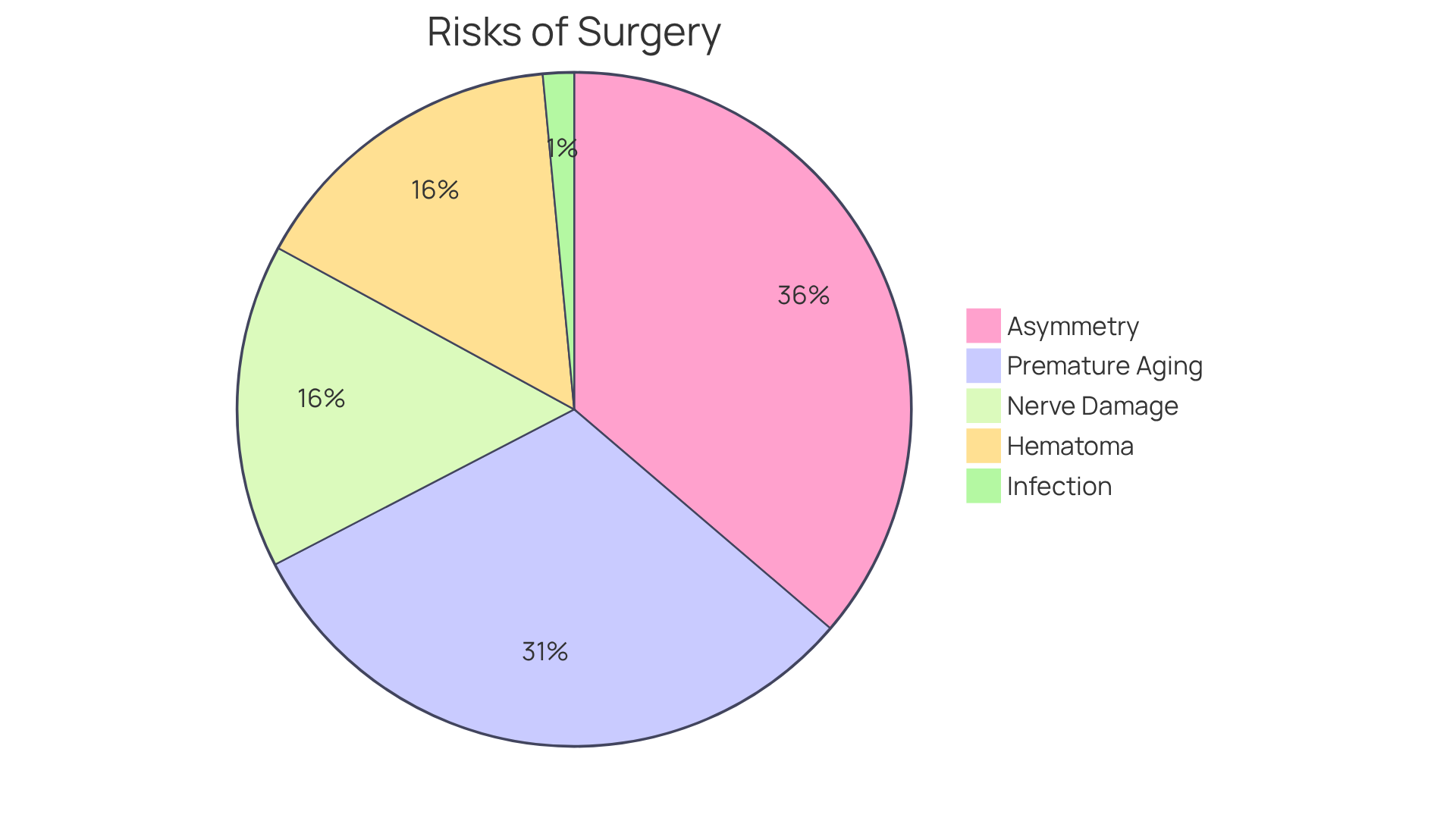 Each segment of the pie chart represents a different risk associated with the surgery. The size of each slice indicates how significant that risk is compared to the others. For example, Asymmetry has a higher risk percentage than Infection, which is shown by a larger slice.