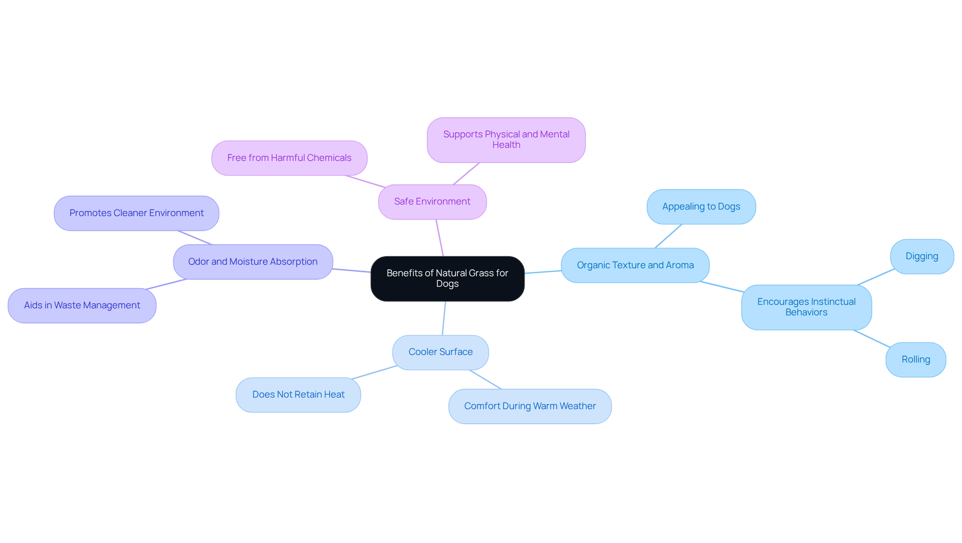 The center shows the main topic, while the branches highlight specific benefits. Each branch represents a unique advantage that contributes to a dog's happiness and health.