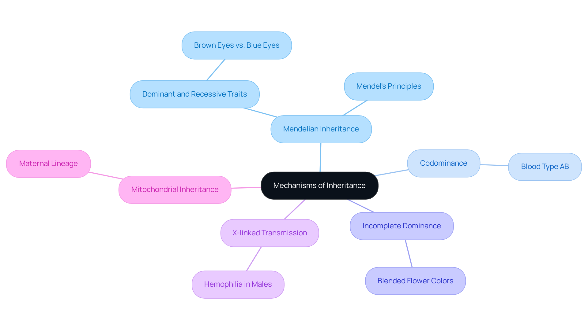 The central node represents the main topic of inheritance, while the branches show different mechanisms. Each mechanism has its own characteristics and examples, helping you understand how genetic traits are passed down.