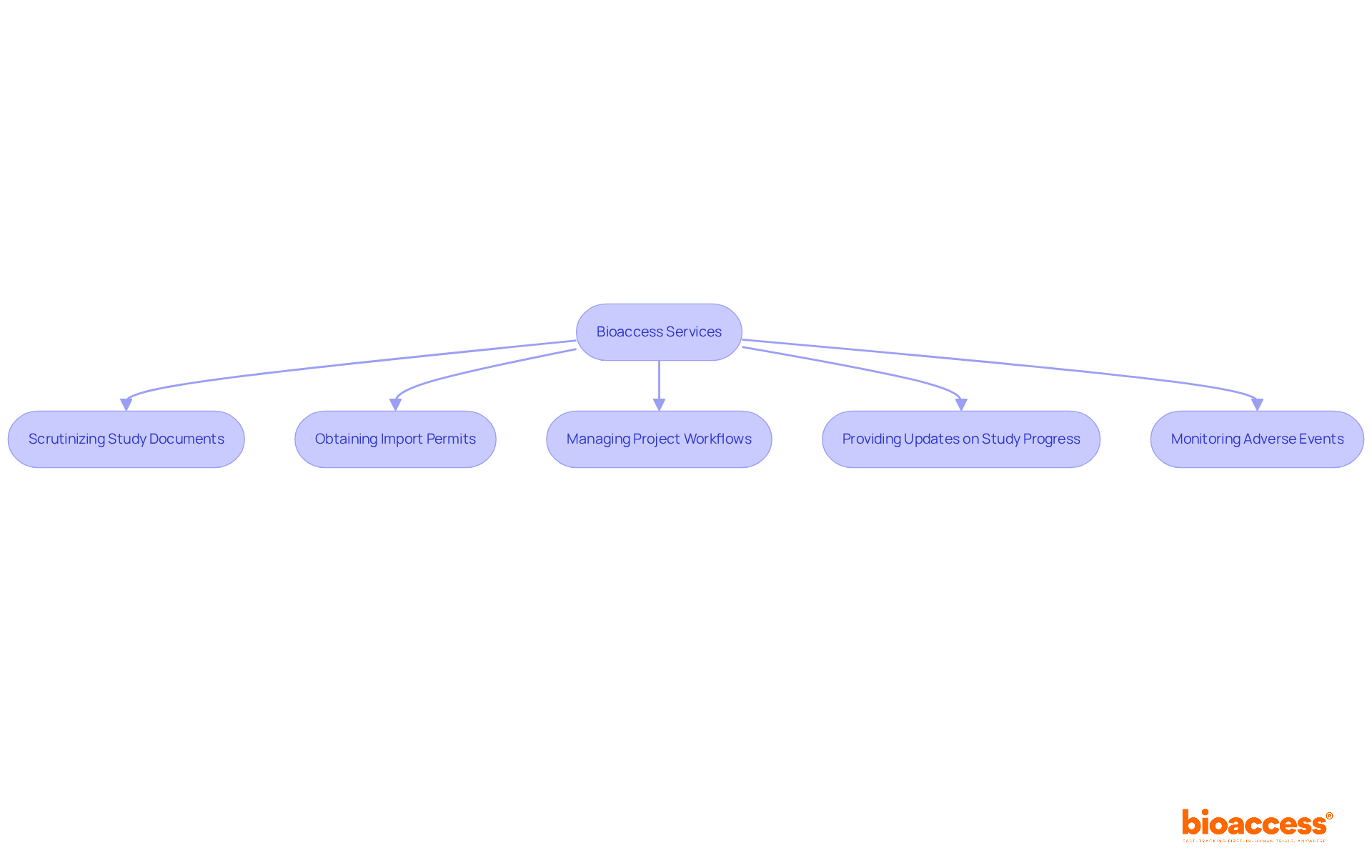 Each box represents a key service that bioaccess provides to enhance clinical research — follow the arrows to see how these services interconnect and support the overall management of clinical data.