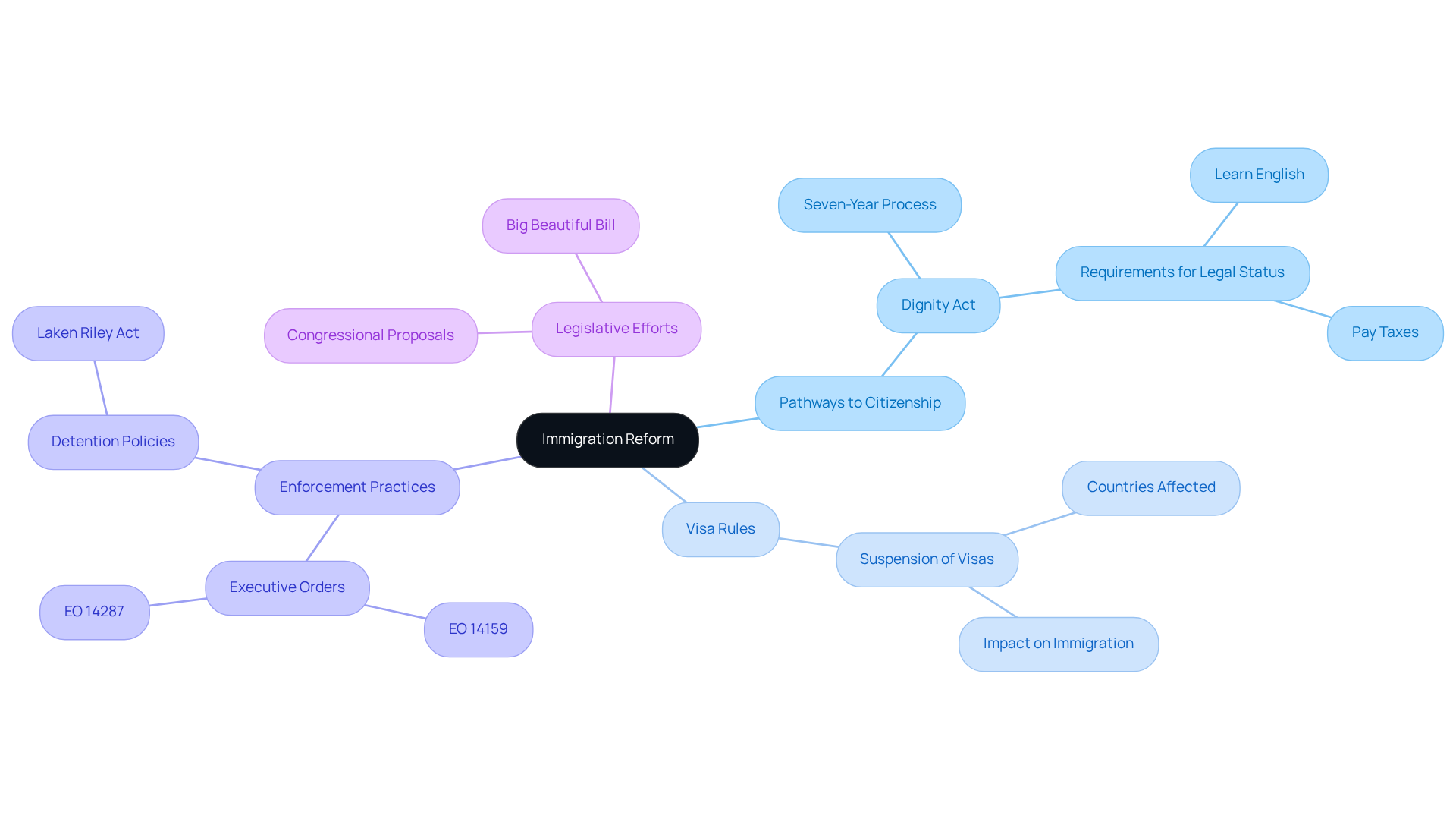 The central node represents the main topic of immigration reform, while the branches show related issues and legislative efforts. Each color-coded branch helps you see how different aspects connect to the overall theme.