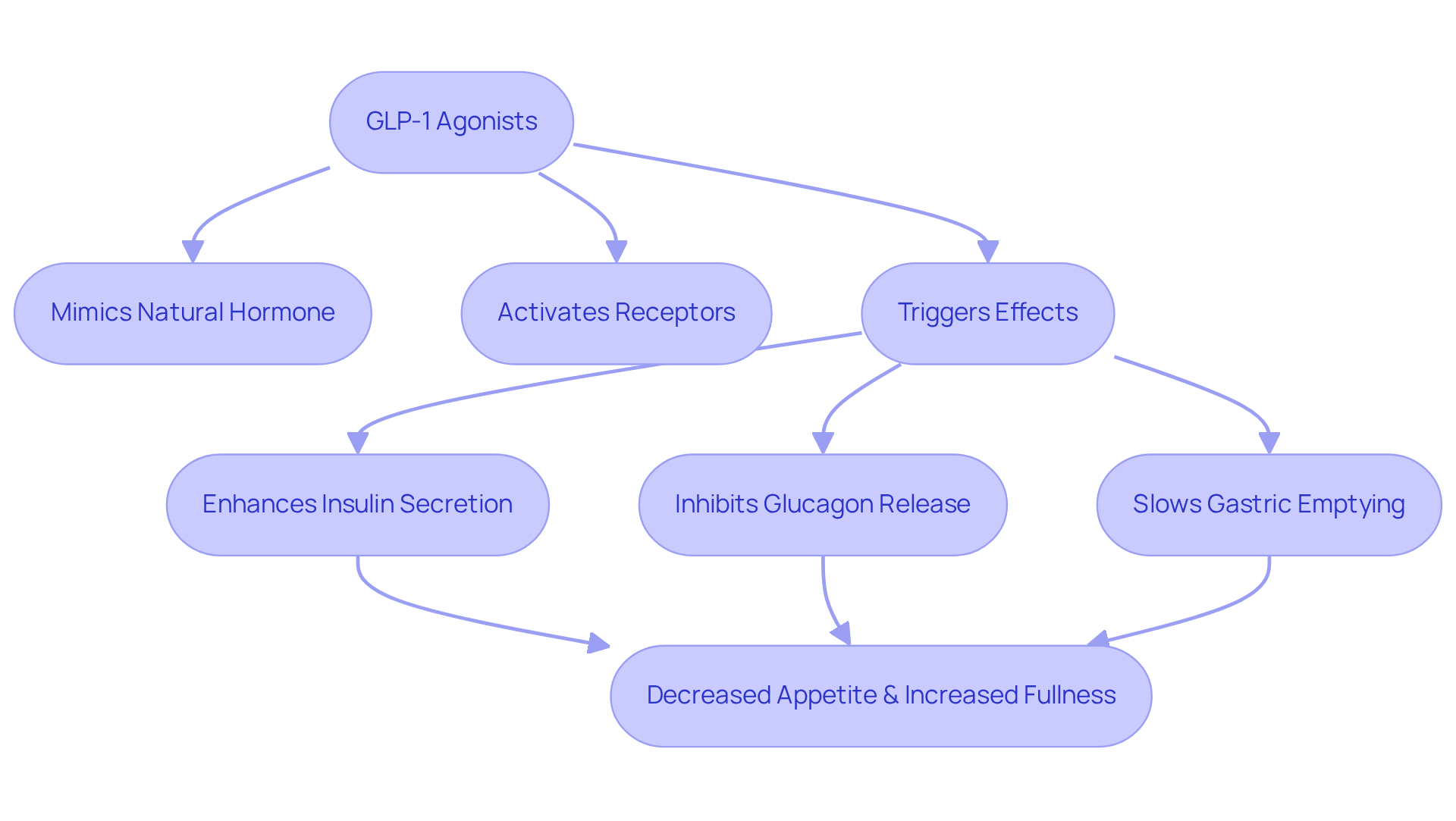 This flowchart illustrates how GLP-1 agonists work. Start with the agonists at the top, then follow the arrows to see how they mimic hormones and activate receptors, leading to effects that help reduce appetite and promote weight loss. This flowchart illustrates how GLP-1 agonists work. Start with the agonists at the top, then follow the arrows to see how they mimic hormones and activate receptors, leading to effects that help reduce appetite and promote weight loss.