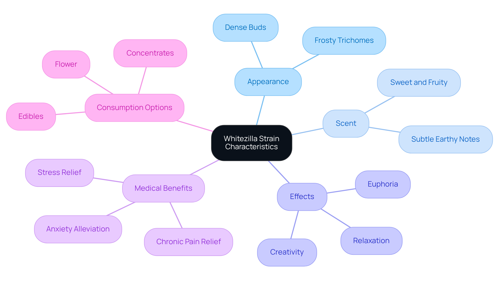 The center node highlights the Whitezilla strain, with branches detailing its traits and benefits, guiding you through its various aspects and how they relate to both enjoyment and medical use. The center node highlights the Whitezilla strain, with branches detailing its traits and benefits, guiding you through its various aspects and how they relate to both enjoyment and medical use.