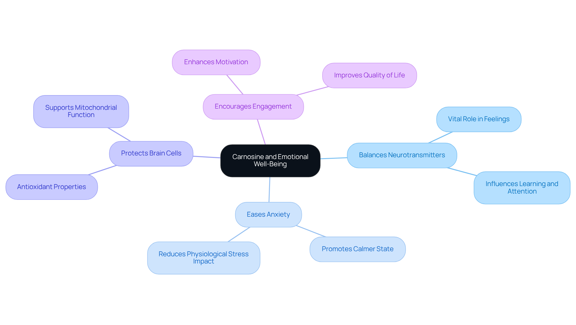 This mindmap shows how Carnosine can improve your mood and emotional health. Start at the center with Carnosine, then follow the branches to see how it helps with neurotransmitters, anxiety, brain protection, and engaging with life. This mindmap shows how Carnosine can improve your mood and emotional health. Start at the center with Carnosine, then follow the branches to see how it helps with neurotransmitters, anxiety, brain protection, and engaging with life.