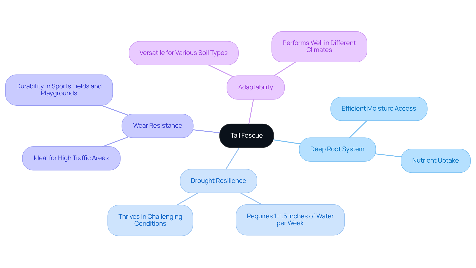 Start at the center with Tall Fescue, then explore its key features and advantages. Each branch shows how these traits make it a great choice for lawns, especially in high-traffic areas.
