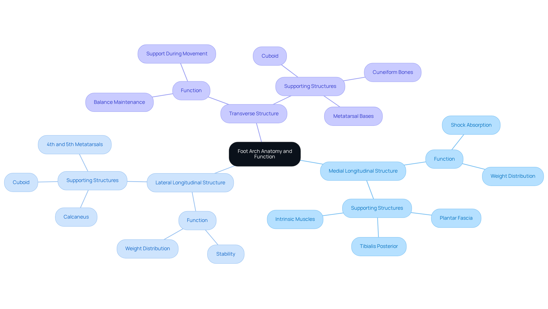 This mindmap illustrates the key structures of the foot arch. Start at the center with the main topic, then follow the branches to learn about each curve and its role in foot function. Each color represents a different structure, making it easy to see how they all connect.