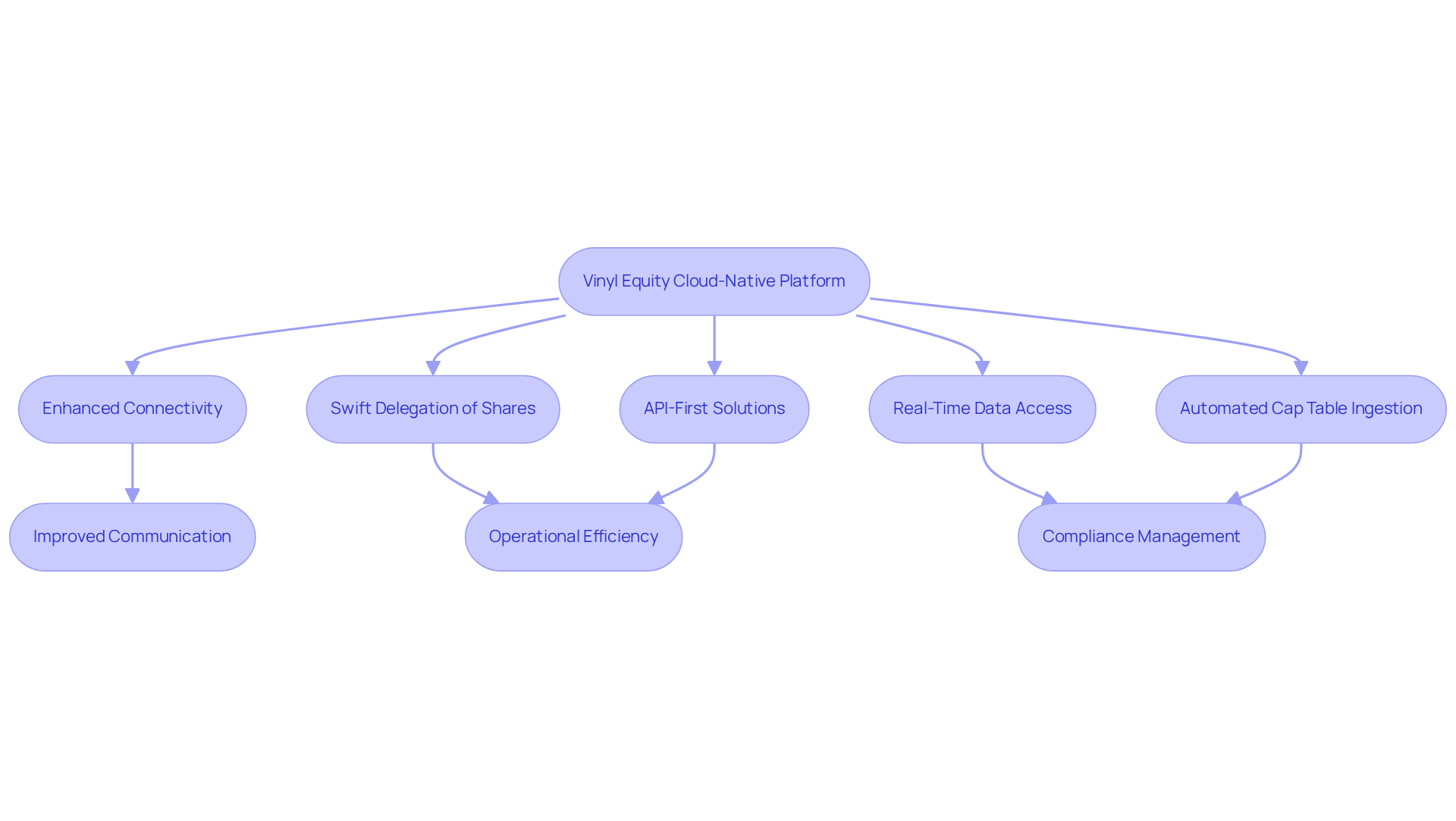 This flowchart shows how Vinyl Equity's platform works. Start with the main platform, then follow the arrows to see the key features and how they benefit the transfer agency process. Each feature leads to specific advantages that enhance overall operations.