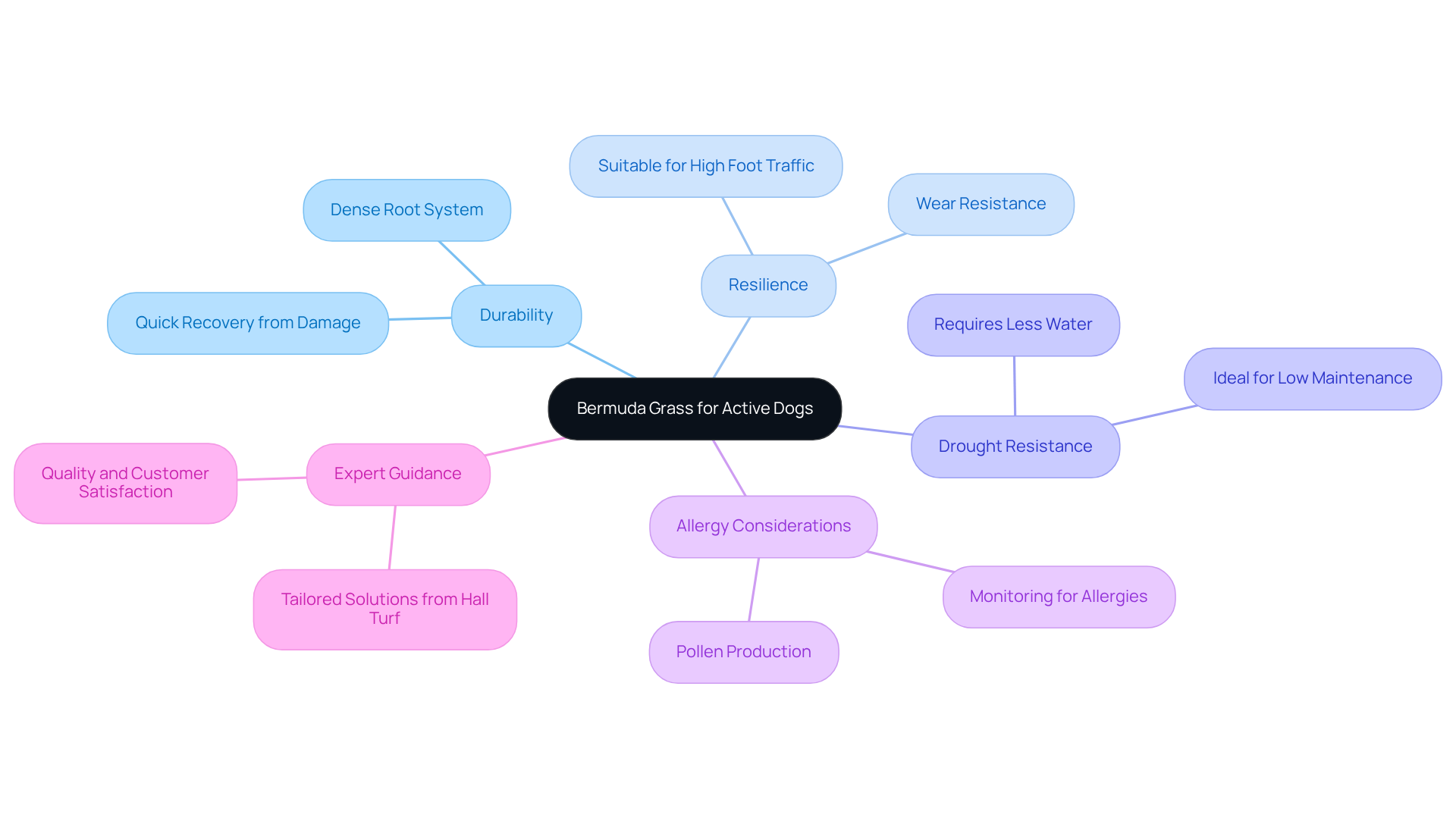 The central node represents Bermuda grass, while the branches show its key benefits and considerations for pet owners. Each color-coded branch helps you quickly identify different aspects of Bermuda grass and how they relate to keeping your lawn beautiful and safe for dogs.