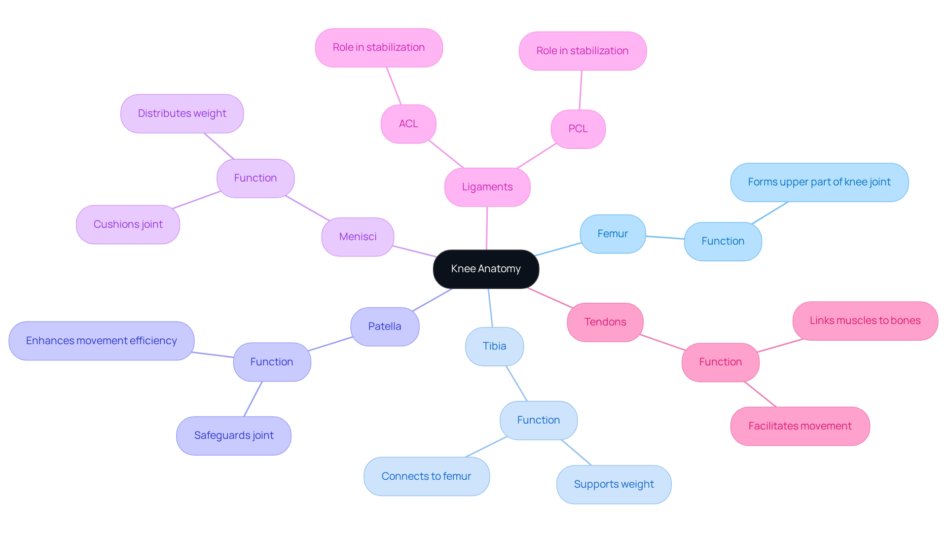 This mindmap starts with the knee anatomy at the center, branching out to show each key component and its function. Follow the branches to see how these parts work together to support knee health and manage pain. This mindmap starts with the knee anatomy at the center, branching out to show each key component and its function. Follow the branches to see how these parts work together to support knee health and manage pain.