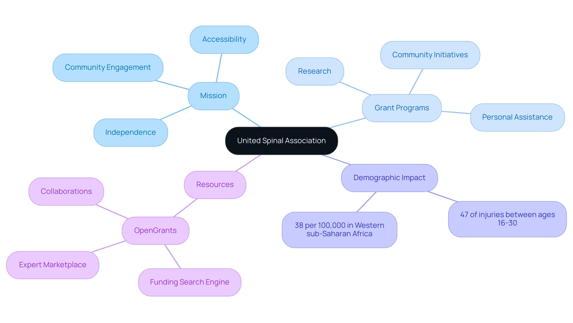 The central node represents the organization, with branches showing its mission, funding programs, demographic impacts, and resources. The central node represents the organization, with branches showing its mission, funding programs, demographic impacts, and resources.
