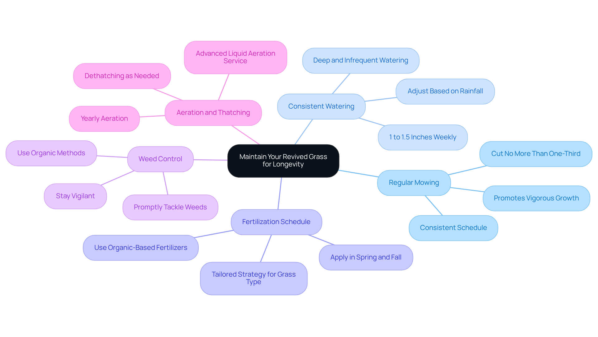 The center represents the main goal of maintaining your grass, while the branches show different care strategies. Each sub-point provides specific actions to take under each category.