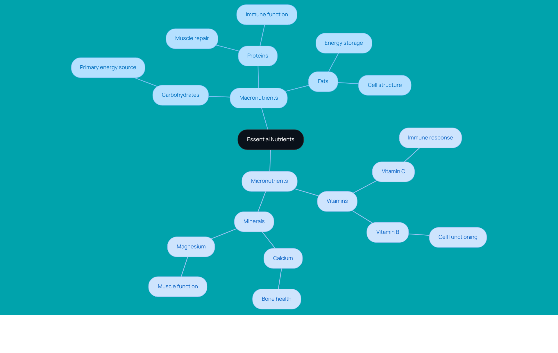 The central node represents essential nutrients, with branches showing the two main types: macronutrients and micronutrients. Each sub-branch highlights specific nutrients and their important roles in our health.