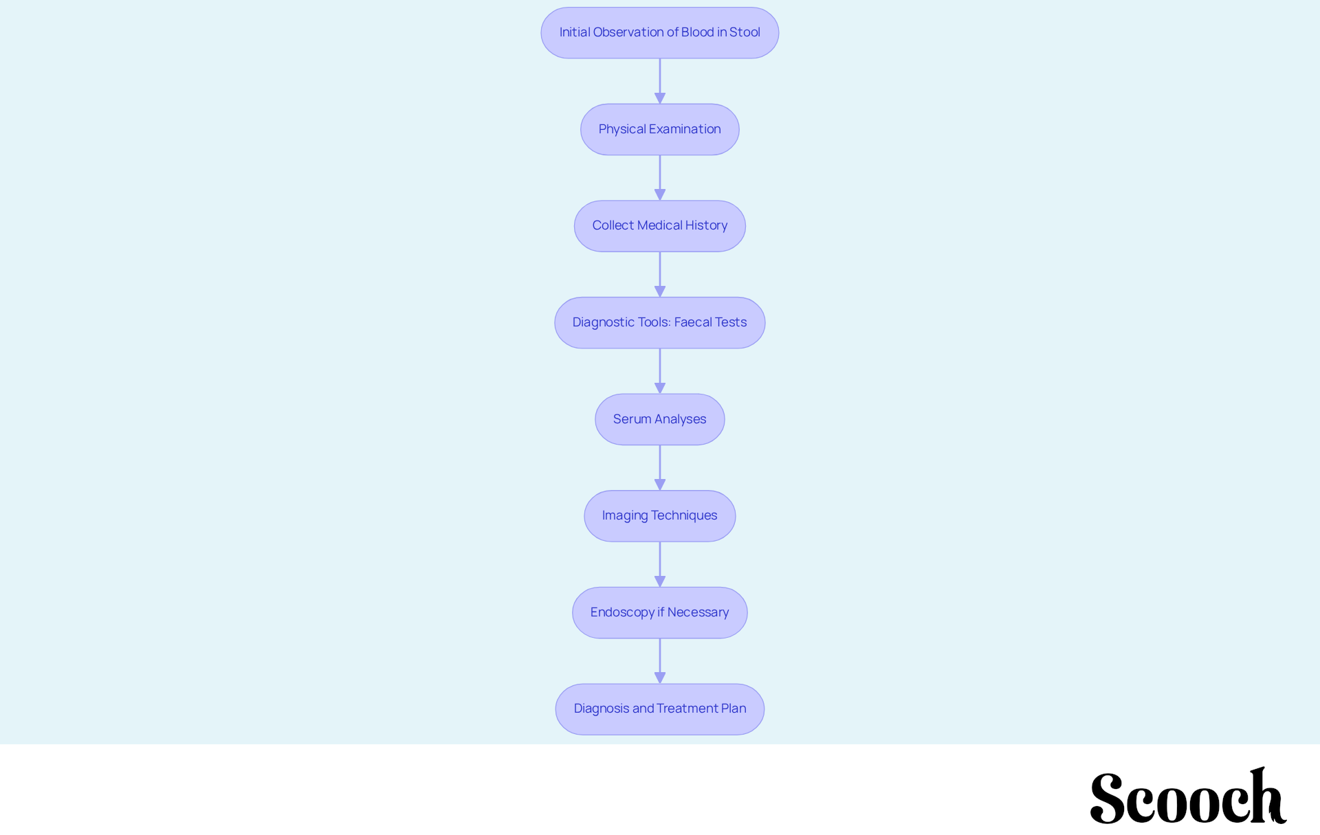 Each box represents a step in the diagnostic process. Follow the arrows to see how veterinarians move from initial observations to diagnosis and treatment planning. Each box represents a step in the diagnostic process. Follow the arrows to see how veterinarians move from initial observations to diagnosis and treatment planning.