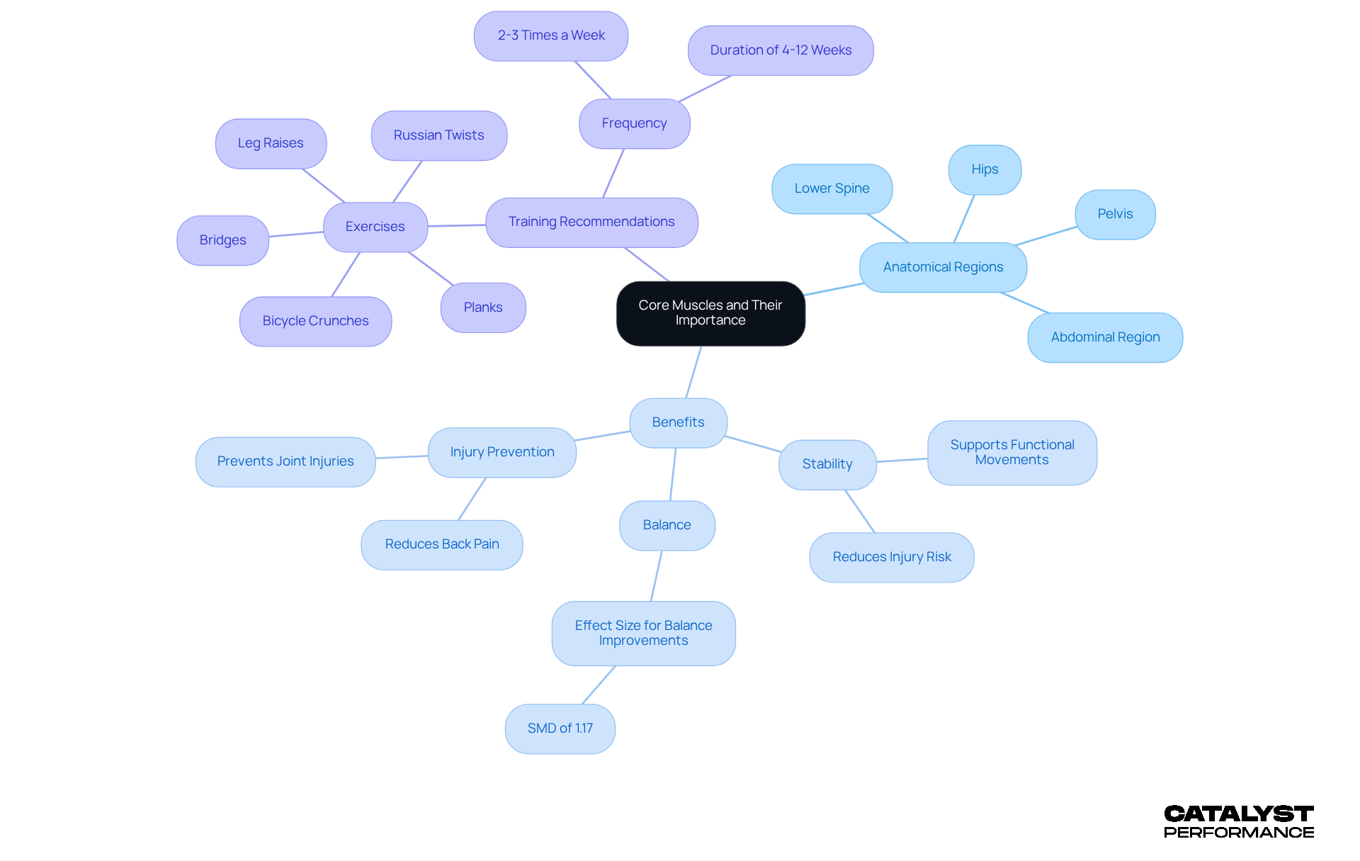 The center represents the core muscles, and the branches show their key areas and benefits. Each color-coded branch helps you see how everything connects, making it easier to understand why core strength matters.