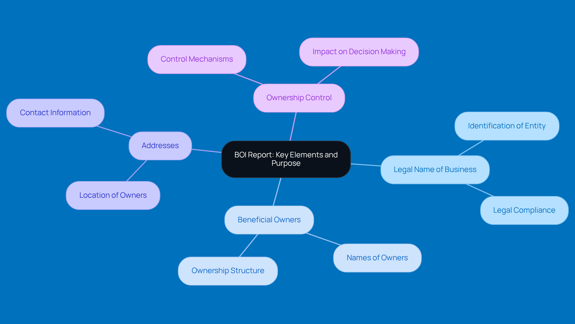 The central node represents the BOI report, while the branches show its key elements. Each branch explains what information is included and why it matters for transparency and compliance.