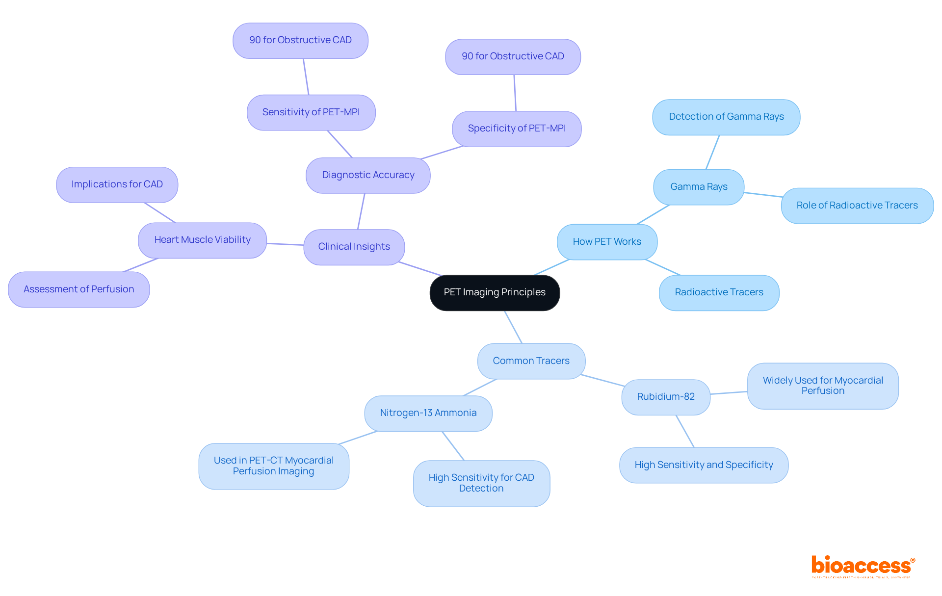 The central node shows the main topic, while branches represent related concepts and details. Each color-coded branch leads you through the different aspects of PET imaging, making it easy to follow the connections.