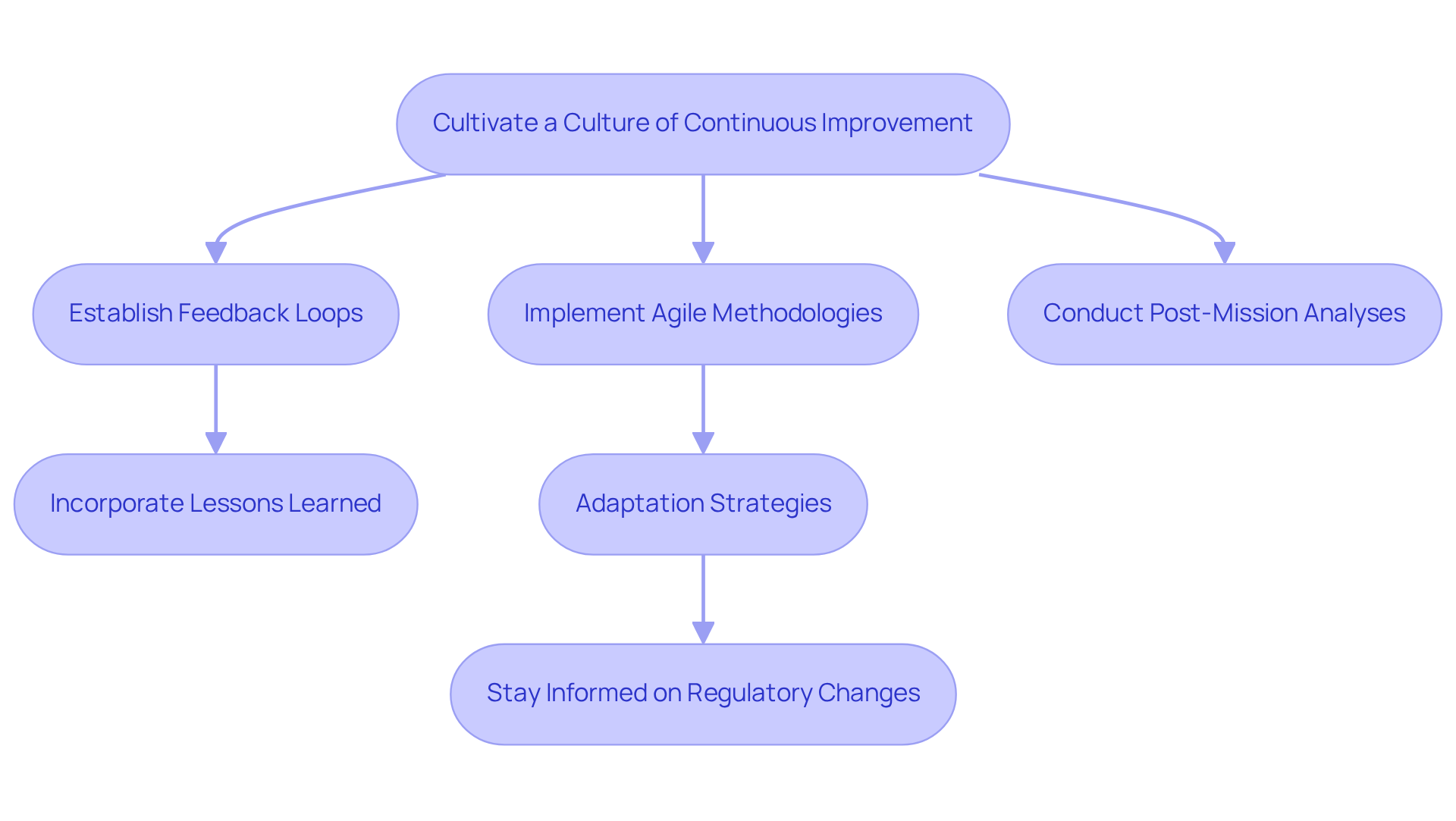 Each box represents a step in the process of continuous improvement. Follow the arrows to see how each step leads to the next, helping organizations adapt and enhance their operations.