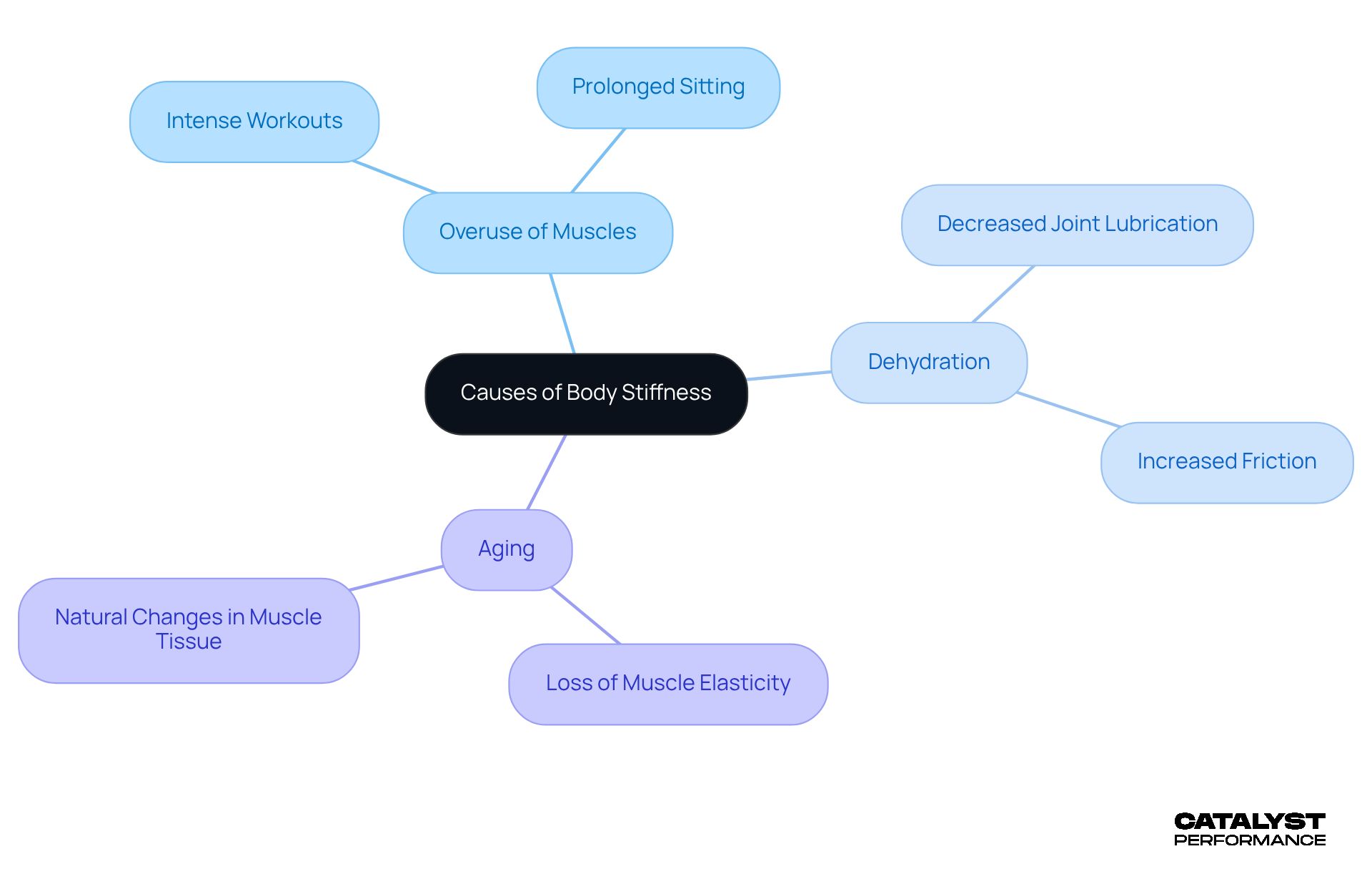 The central node represents the main topic, while the branches show the different causes of stiffness. Each sub-branch provides more detail about how these causes affect the body. Follow the branches to explore each factor and its implications. The central node represents the main topic, while the branches show the different causes of stiffness. Each sub-branch provides more detail about how these causes affect the body. Follow the branches to explore each factor and its implications.