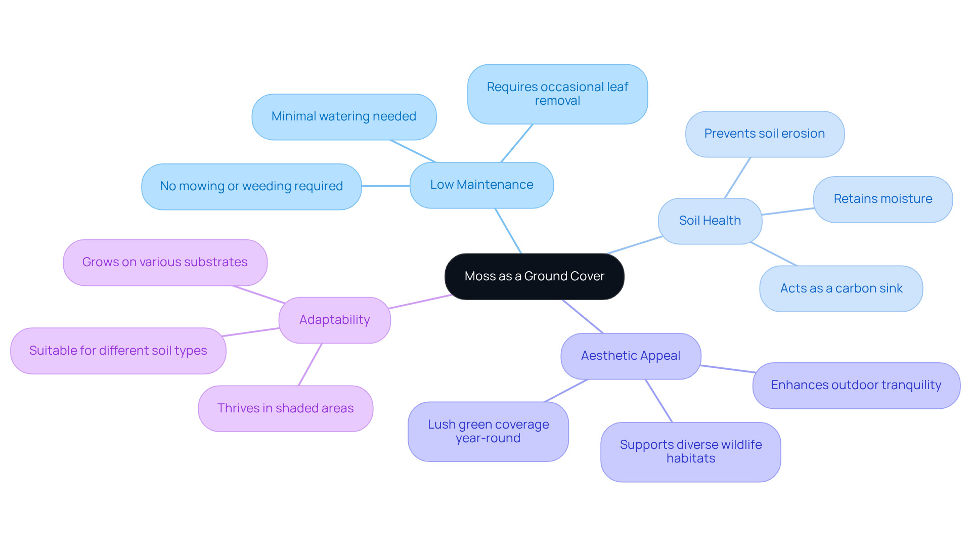 This mindmap shows how moss can be a great alternative to traditional grass. Each branch highlights a key benefit, and the sub-branches provide more details about why moss is a smart choice for landscaping.
