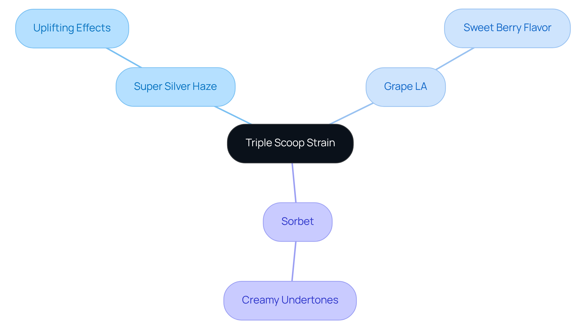 The central node represents the triple scoop strain, while the branches show the three cannabis varieties that make it unique. Each color-coded branch highlights the special characteristics of each variety, helping you understand their contributions to the overall strain. The central node represents the triple scoop strain, while the branches show the three cannabis varieties that make it unique. Each color-coded branch highlights the special characteristics of each variety, helping you understand their contributions to the overall strain.