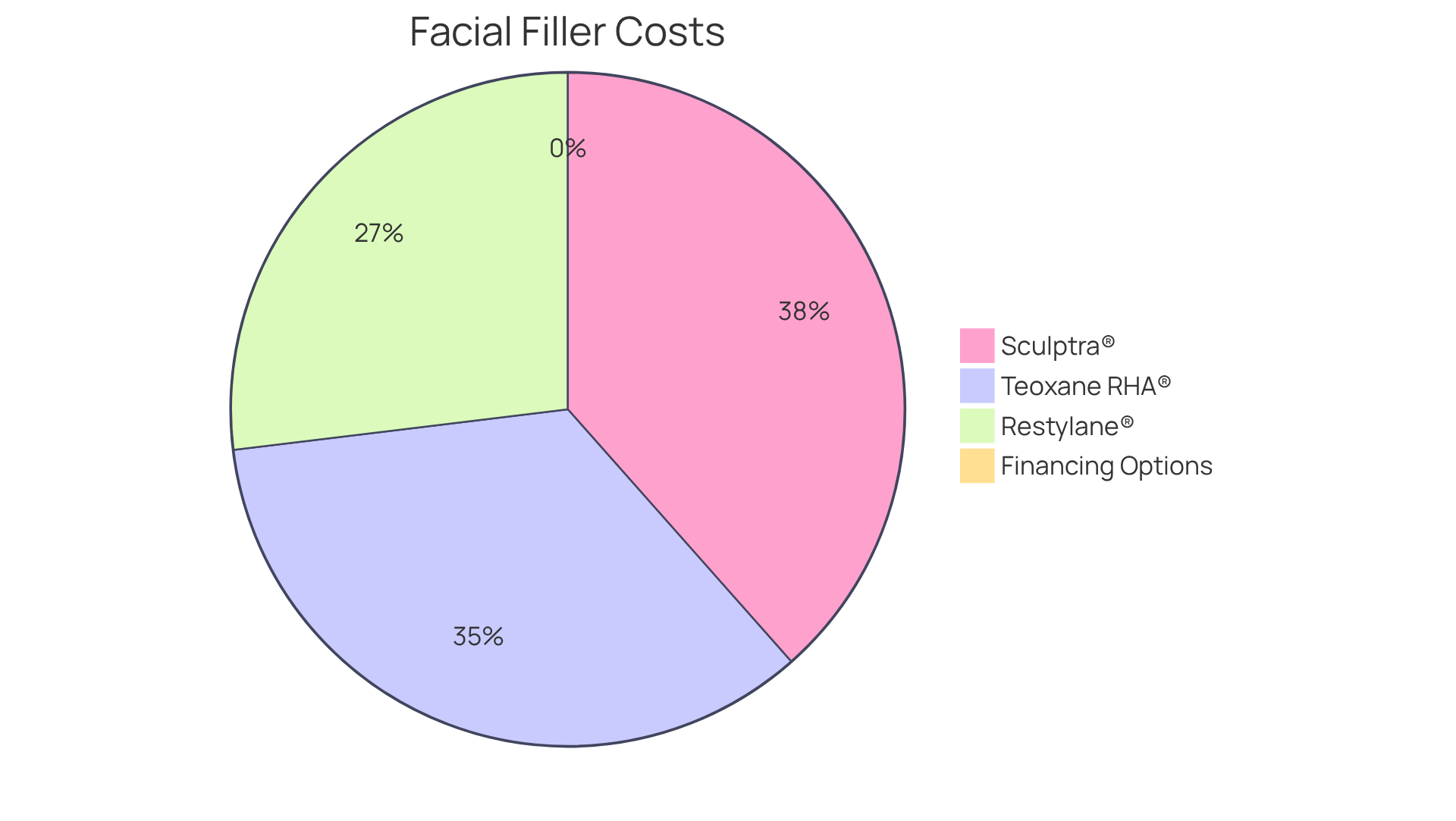 Each segment shows the average cost of different fillers. The bigger the segment, the more it represents the average price. The financing options segment highlights ways to manage these costs.