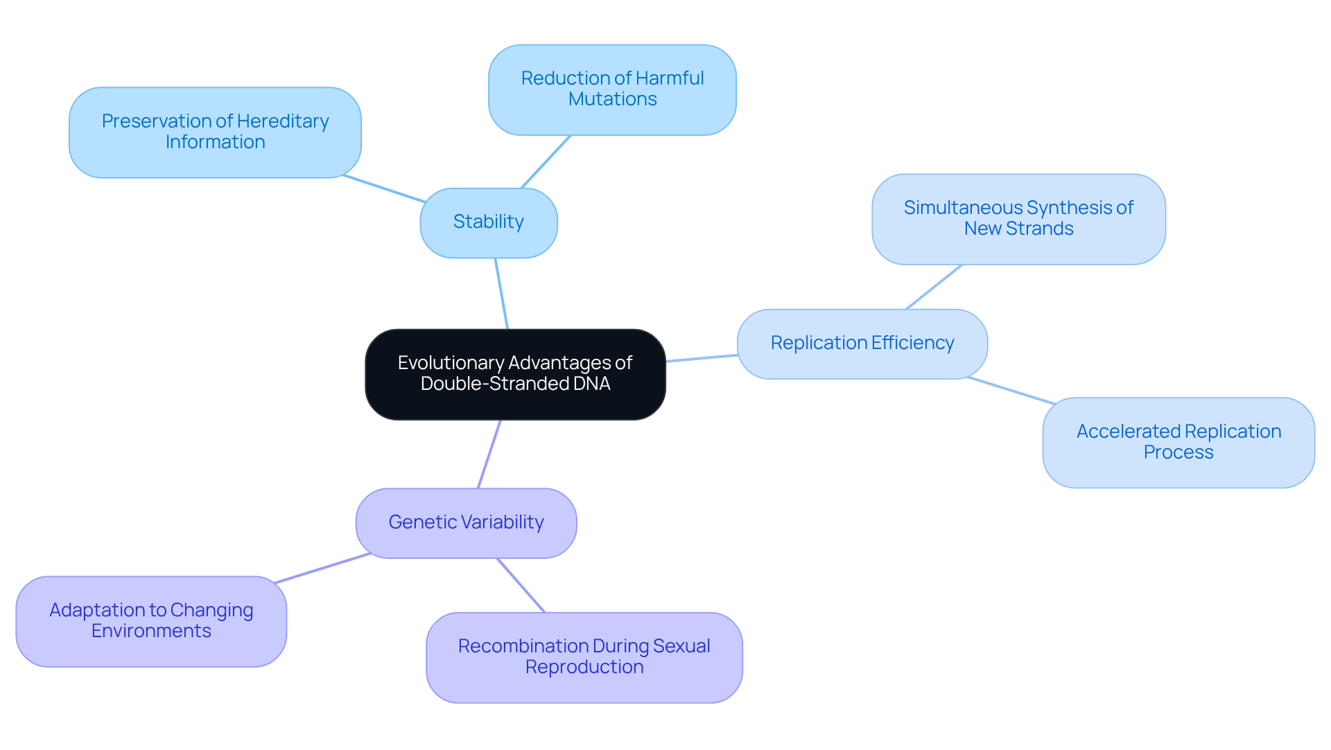 The central node represents the main topic, while the branches show the key advantages. Each sub-branch provides more detail about how these advantages contribute to the success of life on Earth.