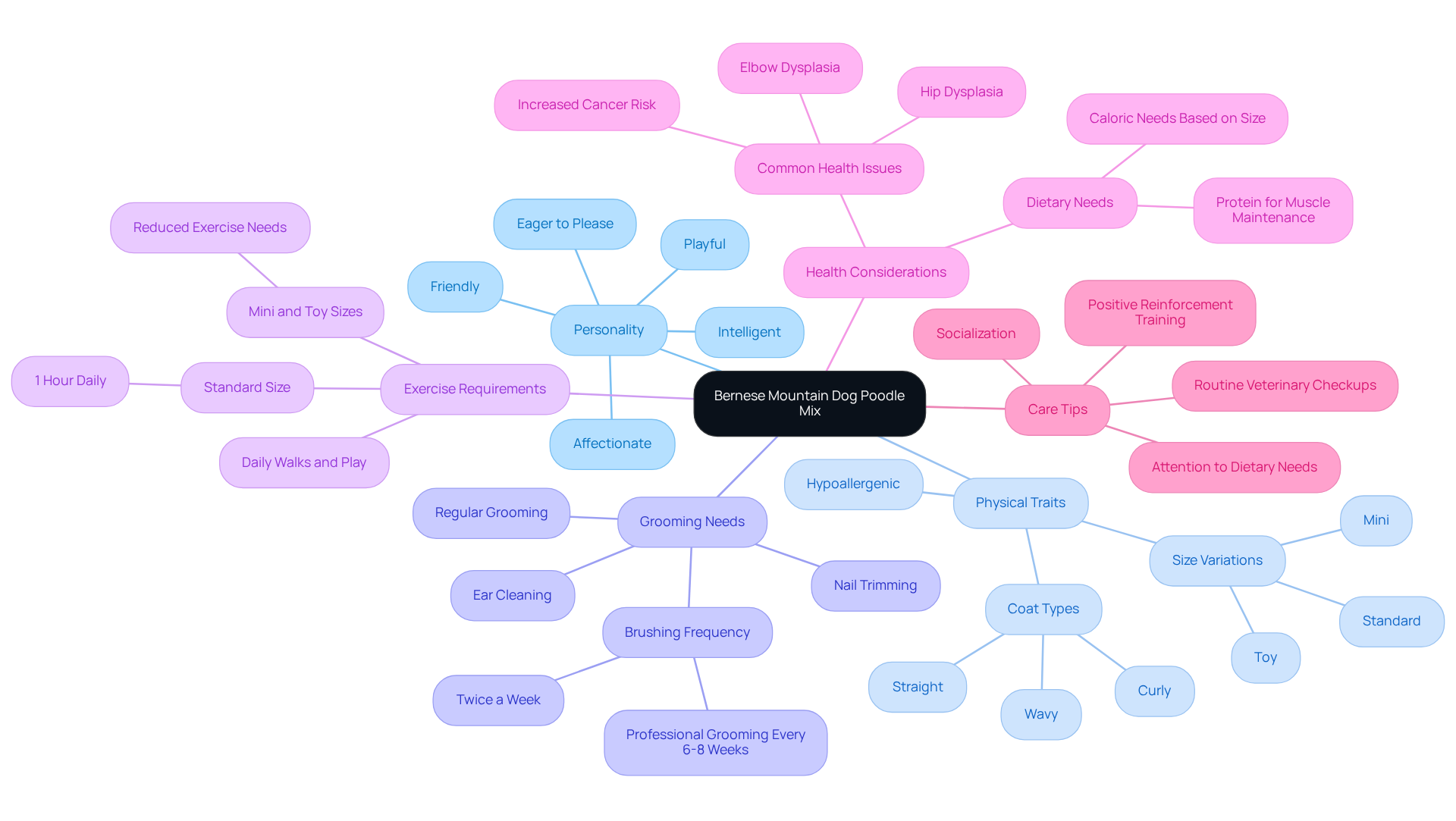 The central idea is the Bernese Mountain Dog Poodle mix, with branches representing its personality, physical traits, grooming needs, exercise levels, health considerations, and care tips. Each sub-branch provides specific details about each characteristic.