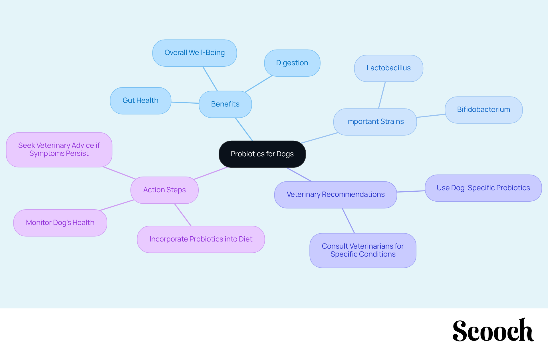The central idea is probiotics for dogs, with branches showing their benefits, important strains, veterinary advice, and steps you can take. Each branch helps you see how these elements are connected and why they're important for your dog's health.