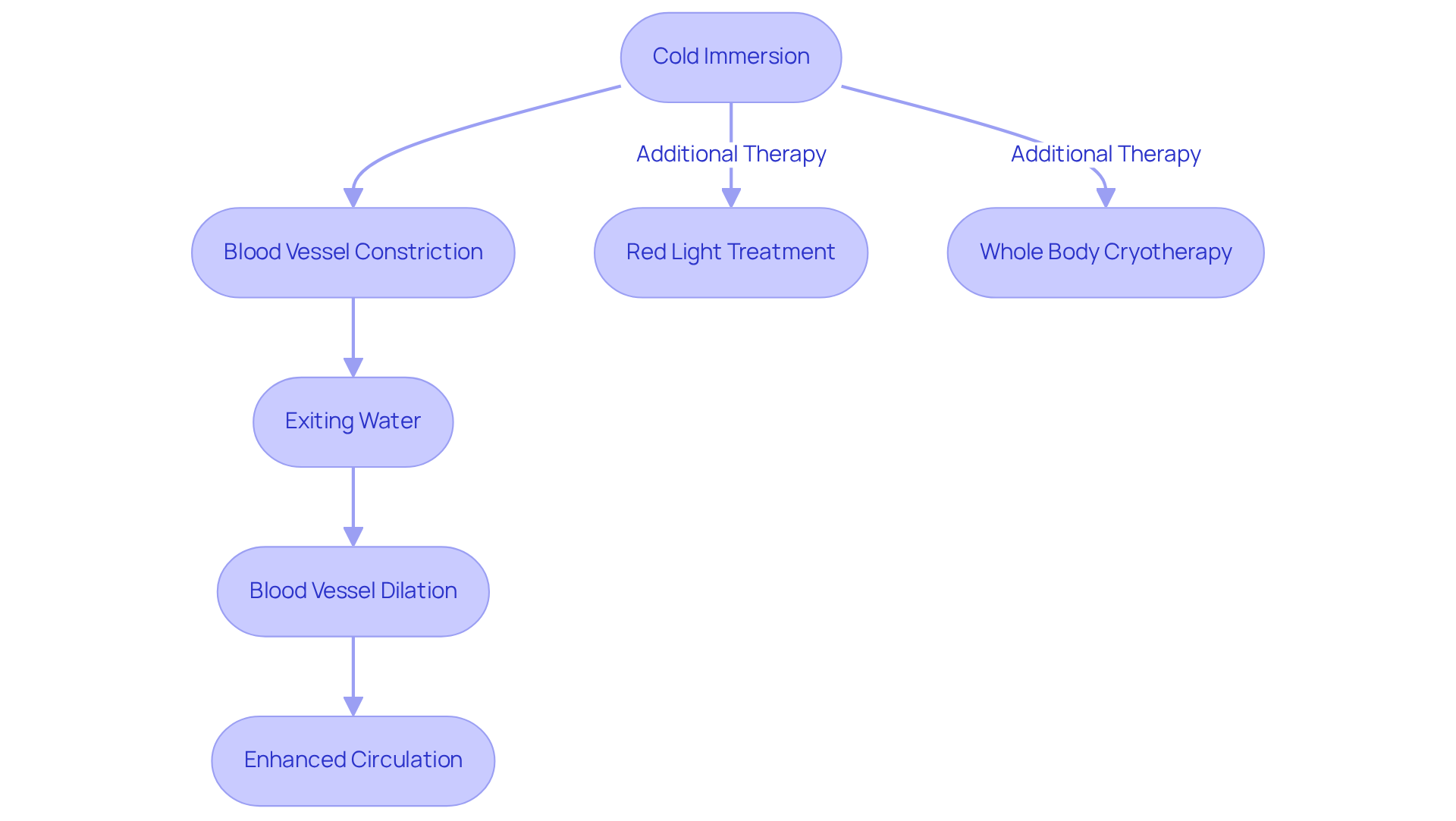 Follow the arrows to see how cold immersion works: it starts with immersion, leads to constriction, and ends with enhanced circulation. Each step shows how your body responds to the cold, leading to better blood flow and health benefits.