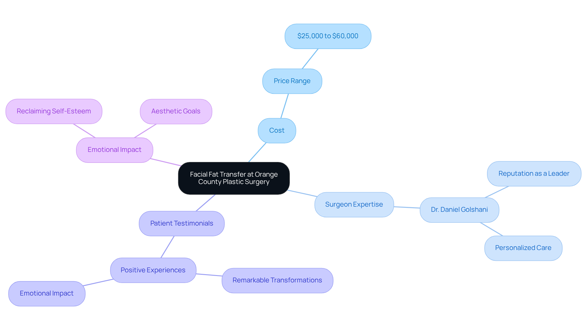 The central node represents the main service offered, while branches show related topics like costs and patient experiences. Each color-coded branch helps you navigate through the different aspects of the service.