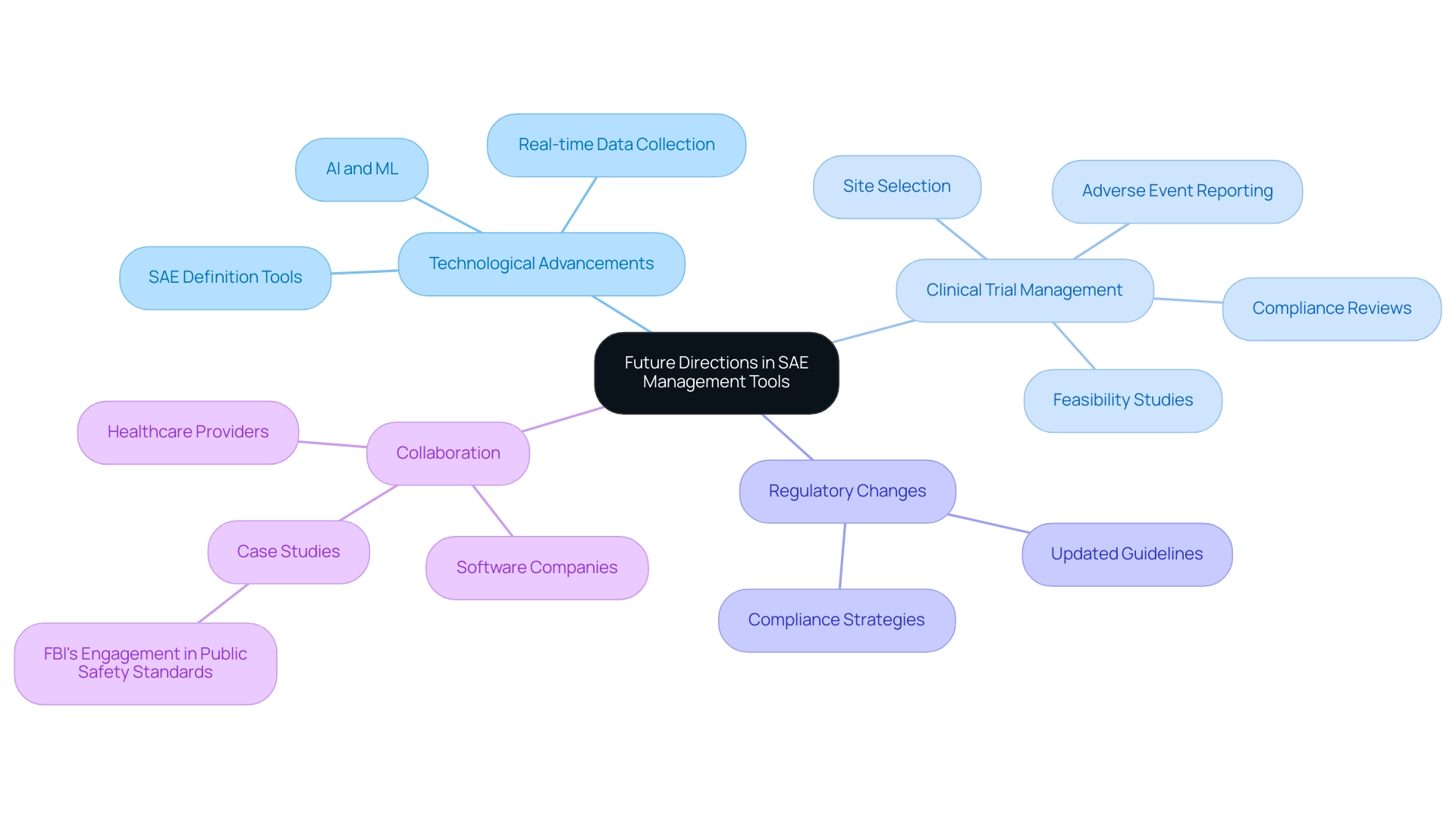 The central node represents the main topic, with branches illustrating key themes and sub-branches detailing specific elements related to SAE management.