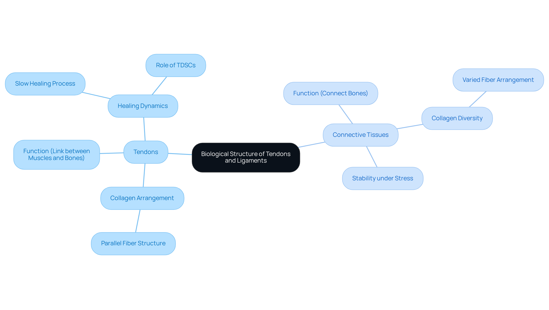 The central node represents the main topic, while the branches show the specific characteristics and functions of tendons and connective tissues. Each sub-branch provides more detail, helping you see how structure influences healing. The central node represents the main topic, while the branches show the specific characteristics and functions of tendons and connective tissues. Each sub-branch provides more detail, helping you see how structure influences healing.