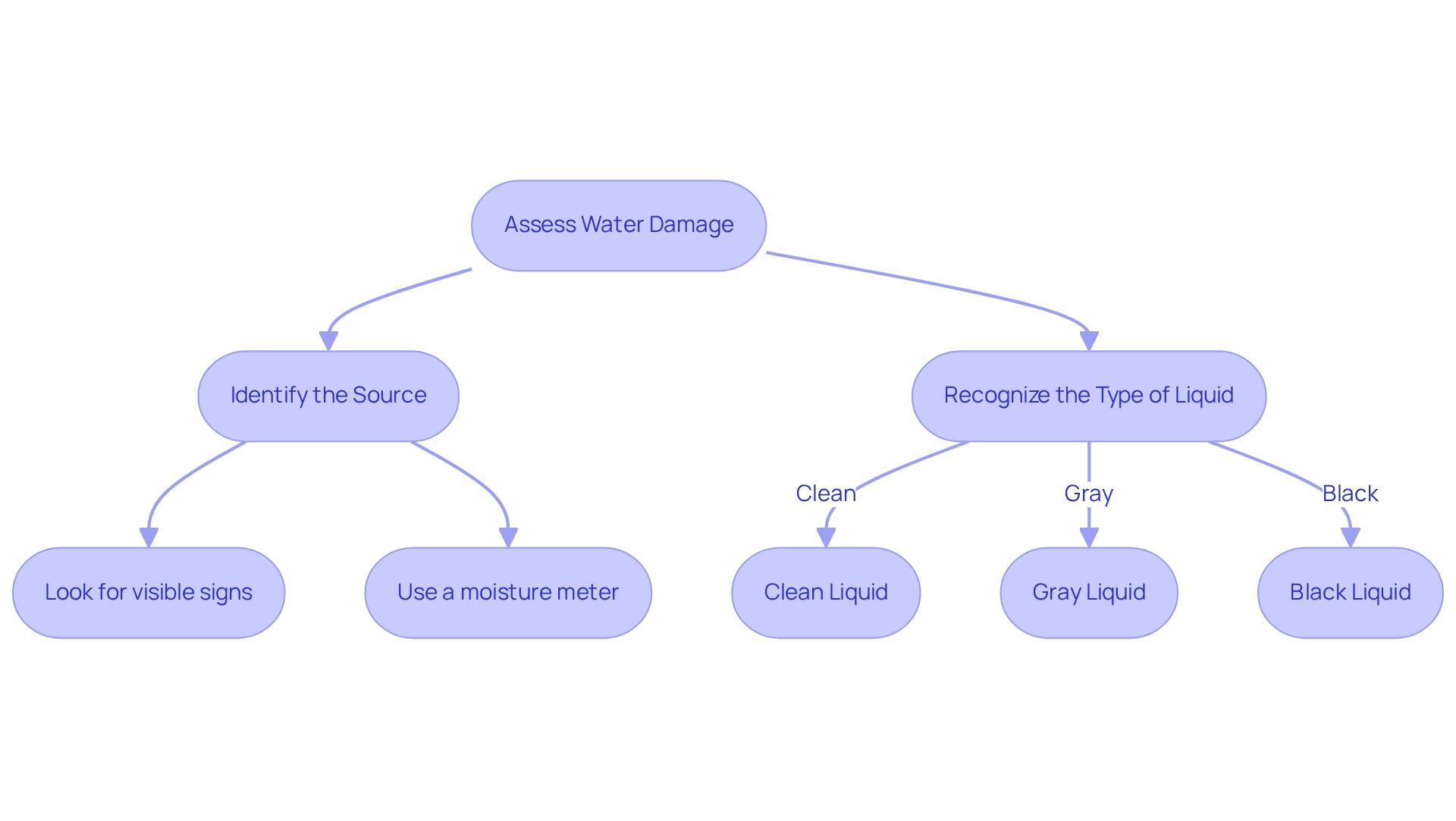 Follow the arrows to navigate through the assessment process. Each section represents a step you should take when dealing with water damage, and the colors differentiate the types of liquid you might encounter.