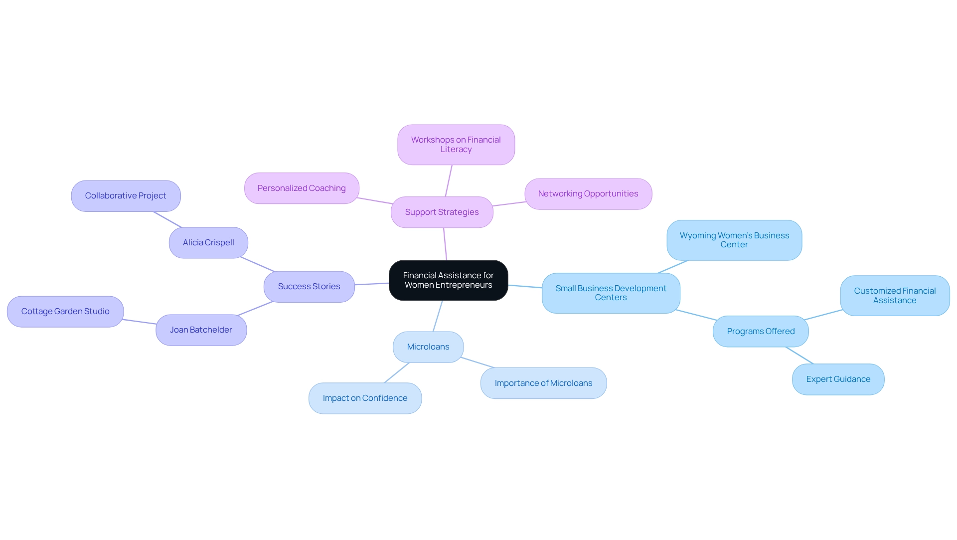 The central node represents the main theme, with branches for key areas such as support centers, funding types, success stories, and assistance strategies.