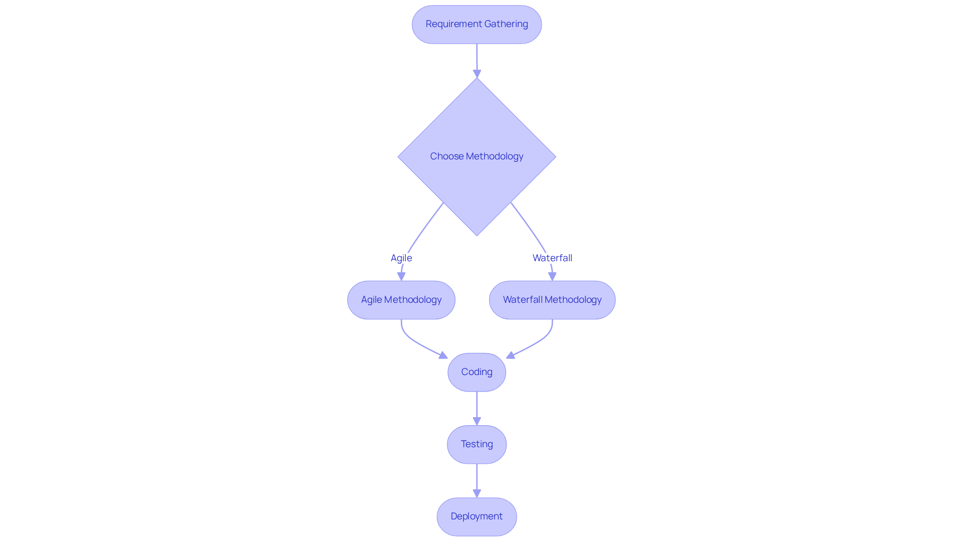 Each box represents a step in the software development process. Follow the arrows to see how each stage leads to the next, and note the decision point for choosing a development methodology.