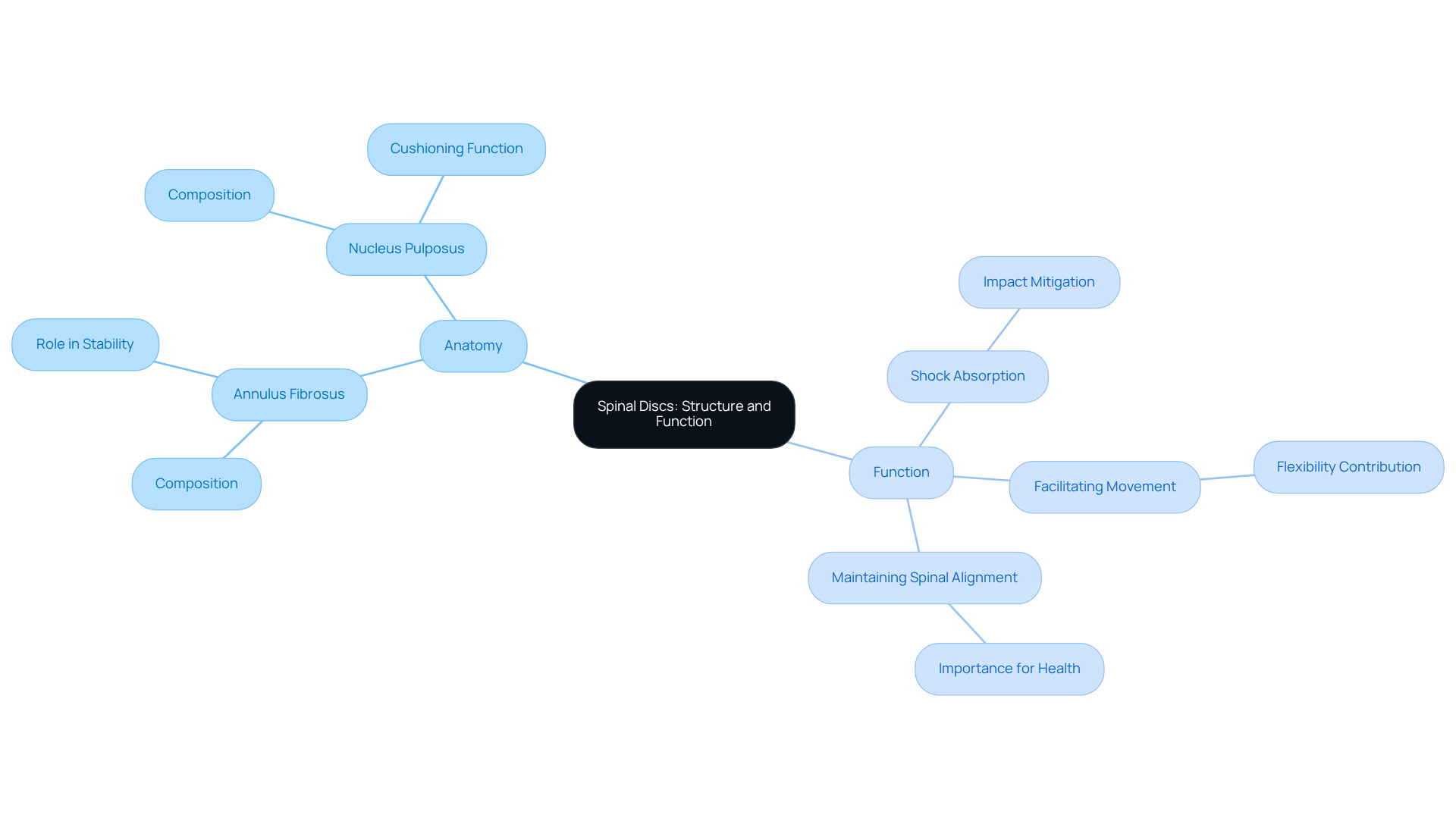 This mindmap starts with the main topic of spinal discs at the center. From there, you can explore their anatomy and functions. Each branch represents a key aspect, helping you understand how these components work together to support spinal health. This mindmap starts with the main topic of spinal discs at the center. From there, you can explore their anatomy and functions. Each branch represents a key aspect, helping you understand how these components work together to support spinal health.