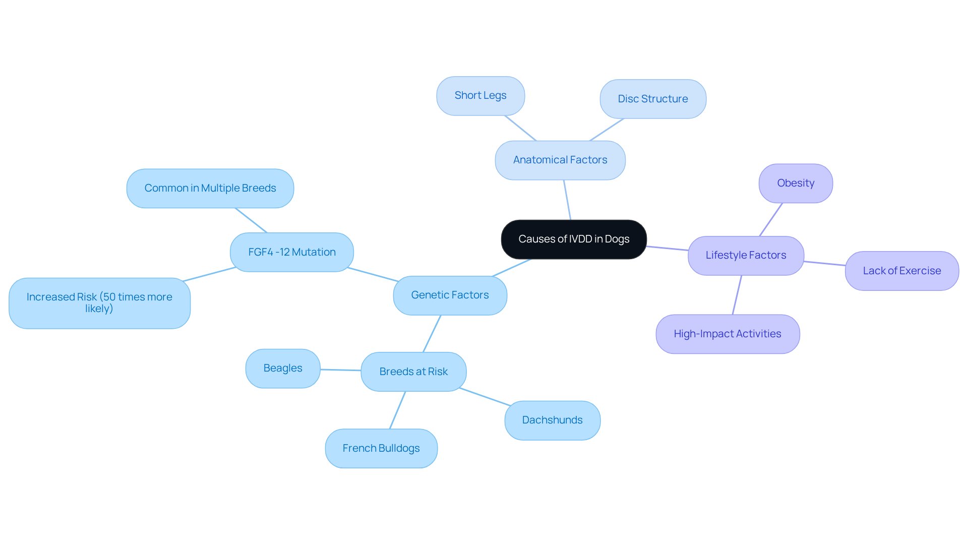 The center shows the main topic of IVDD causes, with branches representing different contributing factors. Each branch provides details about specific elements, helping dog owners understand the risks involved.