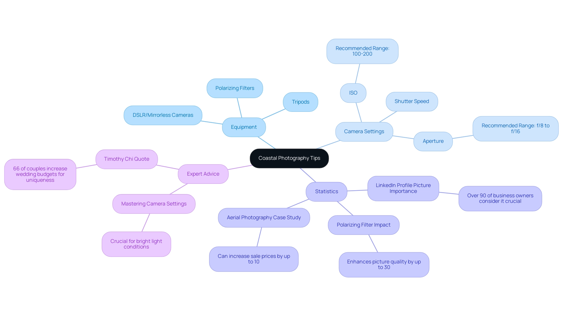 Main branches represent key areas (Equipment, Camera Settings, Statistics, Expert Advice), with sub-branches detailing specific items or data.